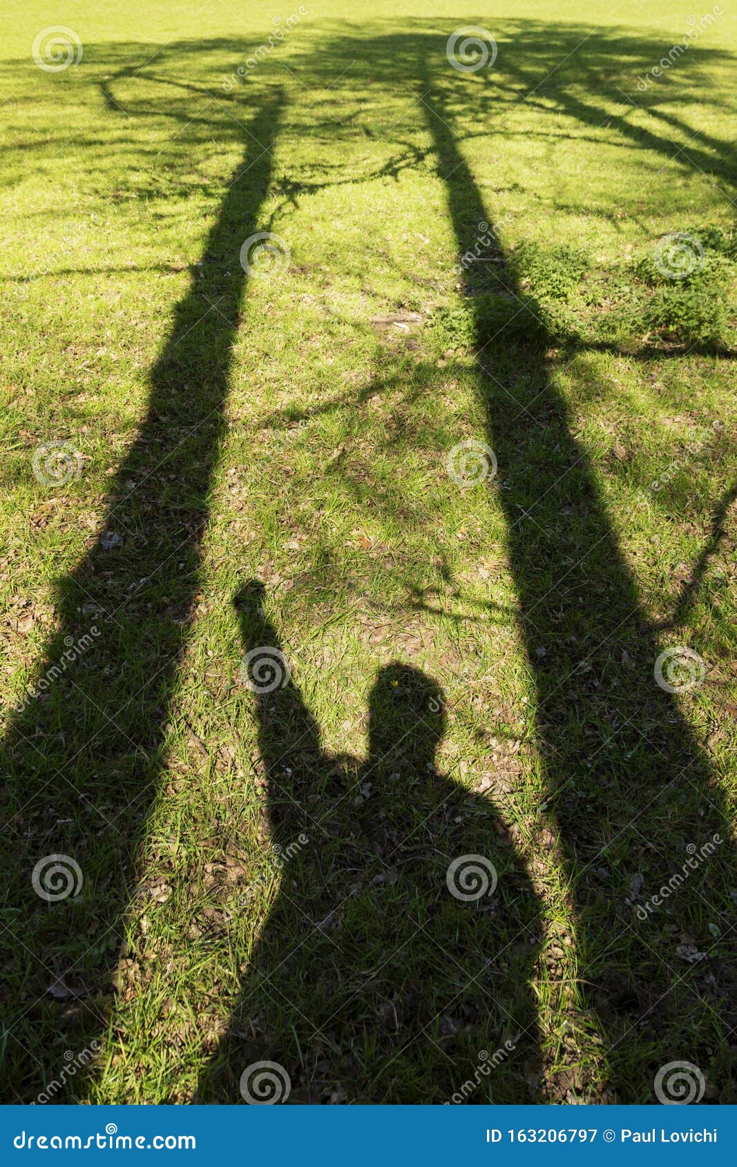 Persons Shadow in a Green Field Stock Image - Image of shadow, victory ...