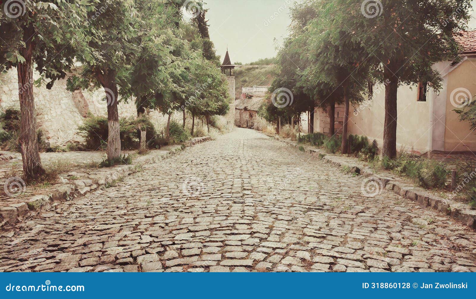 Perspective of Cobblestone Road with Trees Lined on Both Sides Leading ...