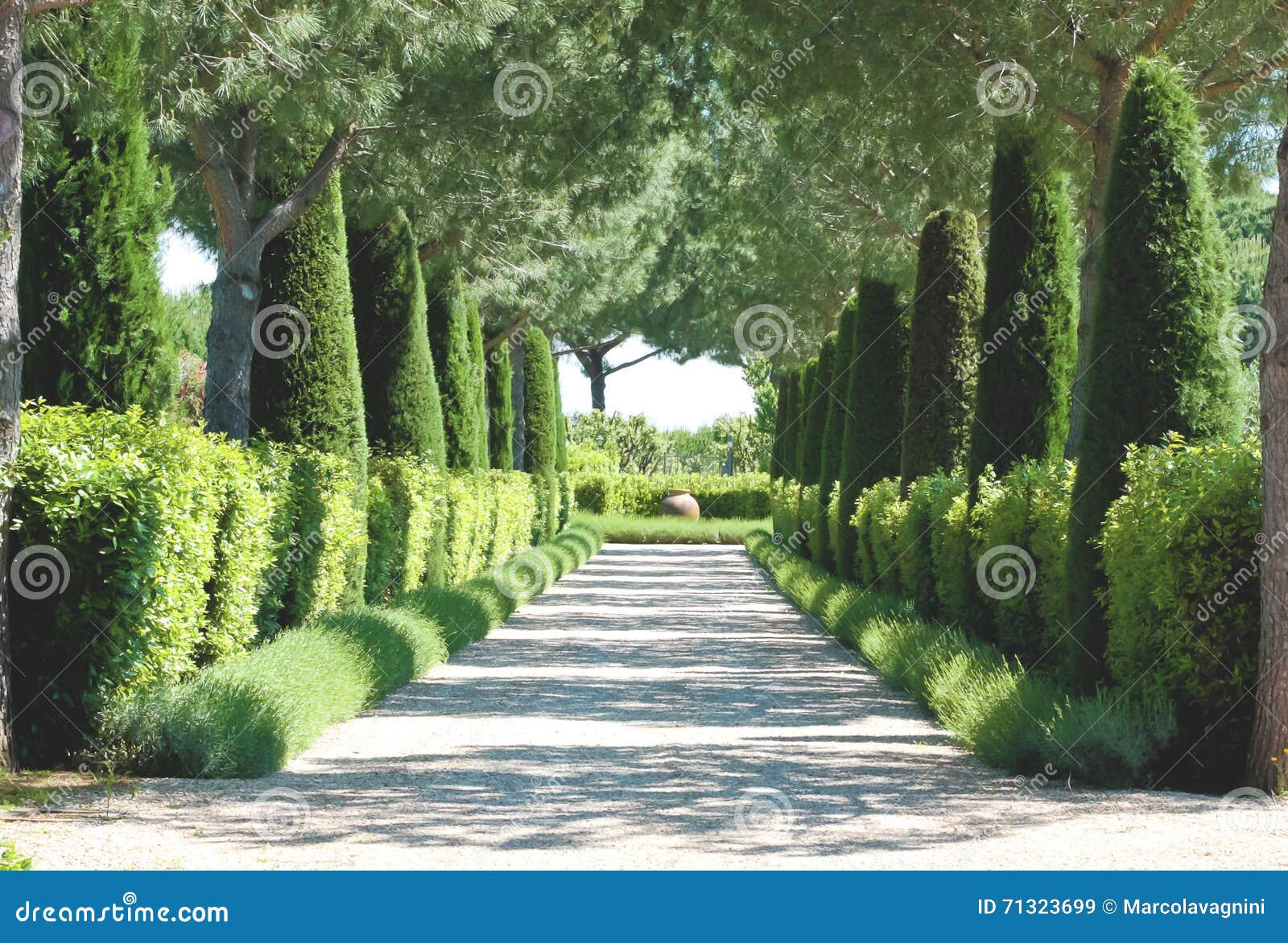 Perspective Garden Alleway stock image. Image of grass - 71323699
