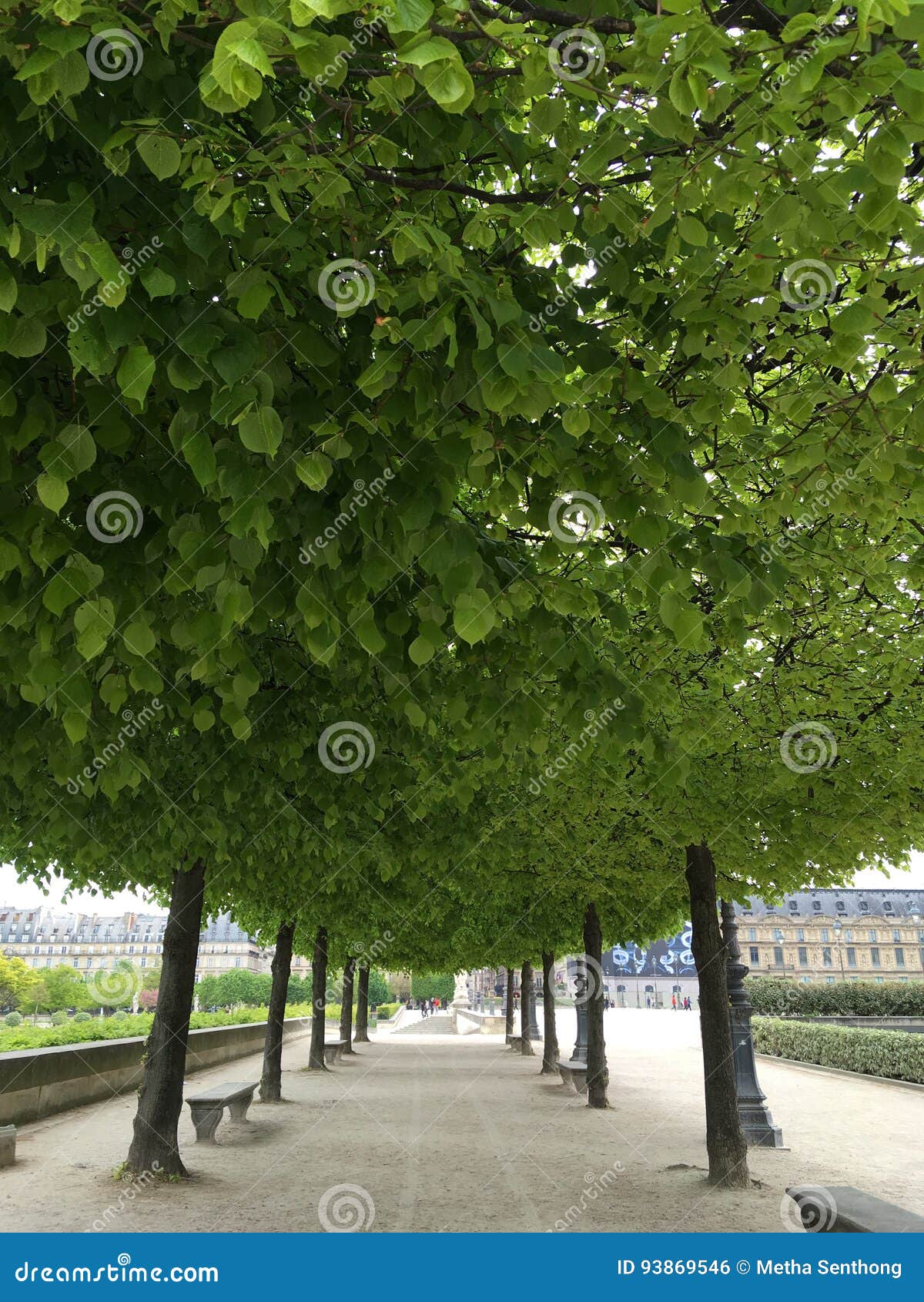 Perspective in green stock photo. Image of oxygen, perspective - 93869546