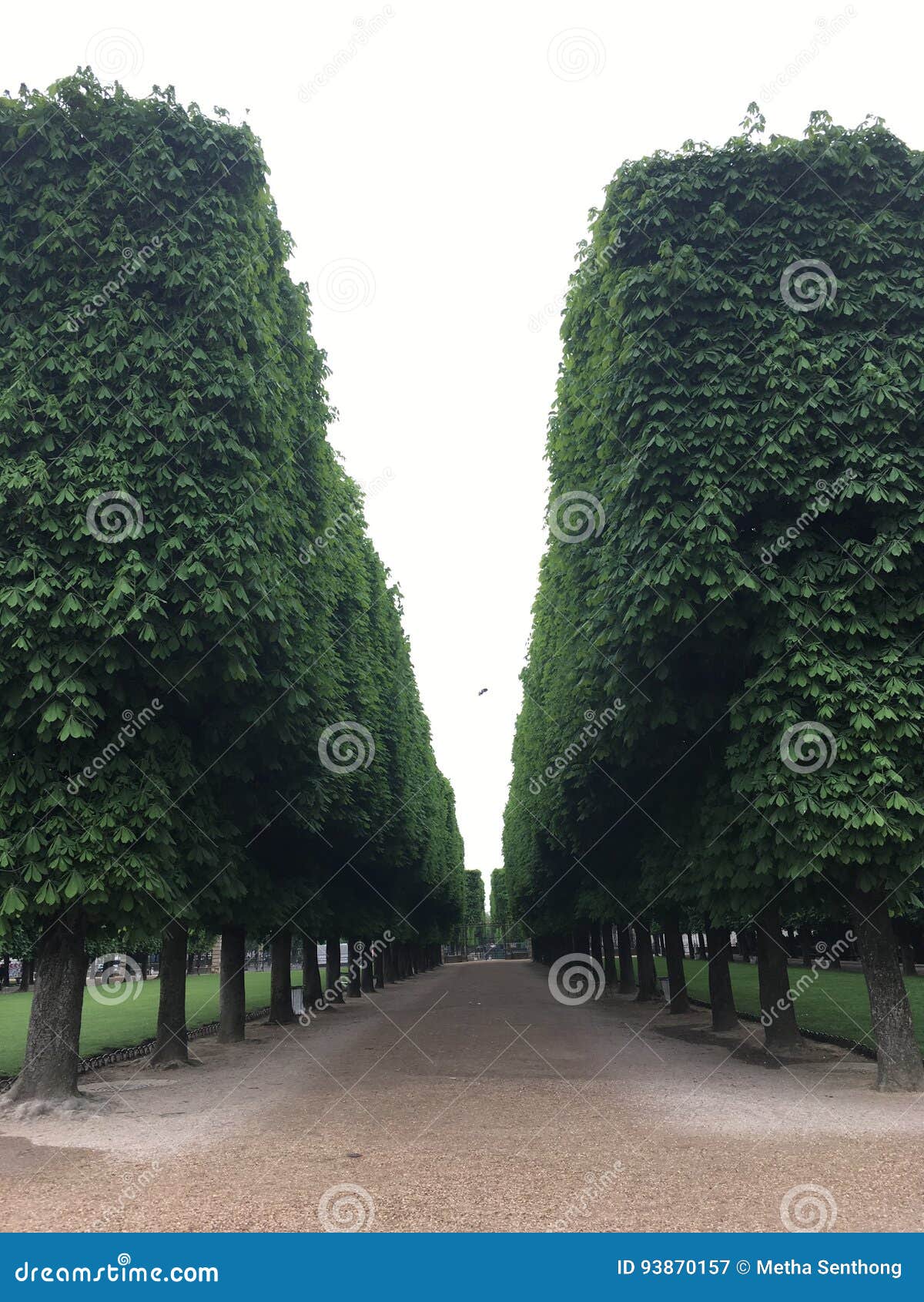 Perspective in green stock image. Image of perspective - 93870157