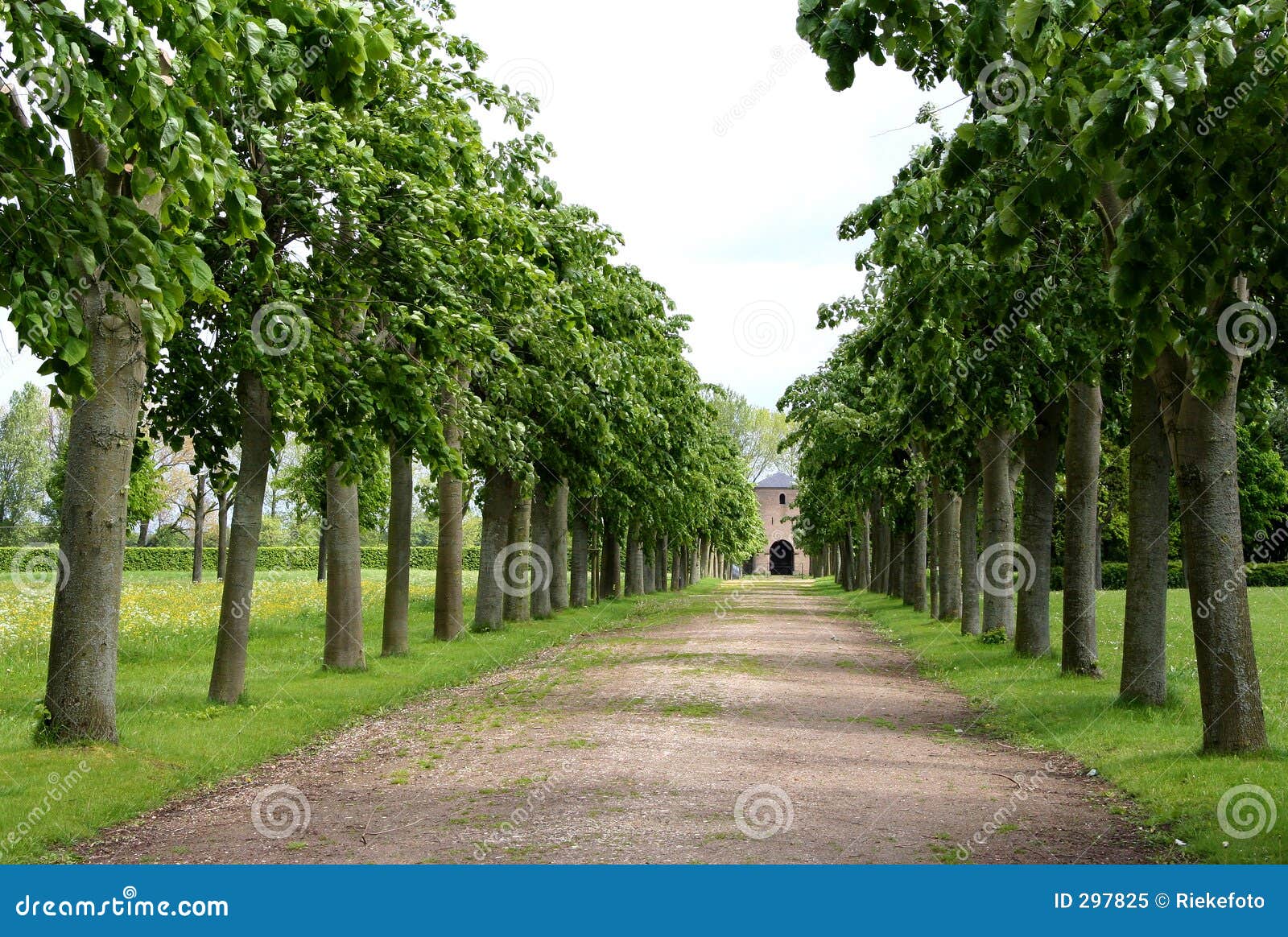 Perspective Look To the Watch Tower Stock Image - Image of avenue ...