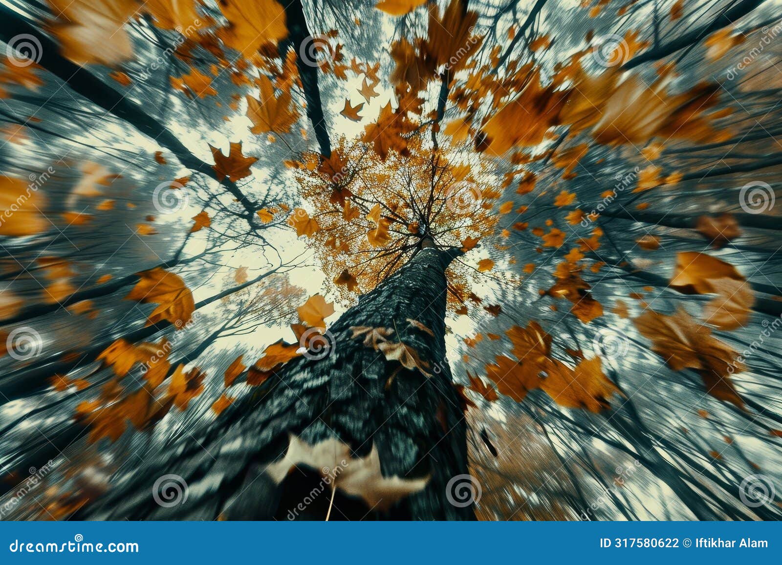 A Perspective Looking Up at a Tree with Vibrant Green Leaves Fluttering ...