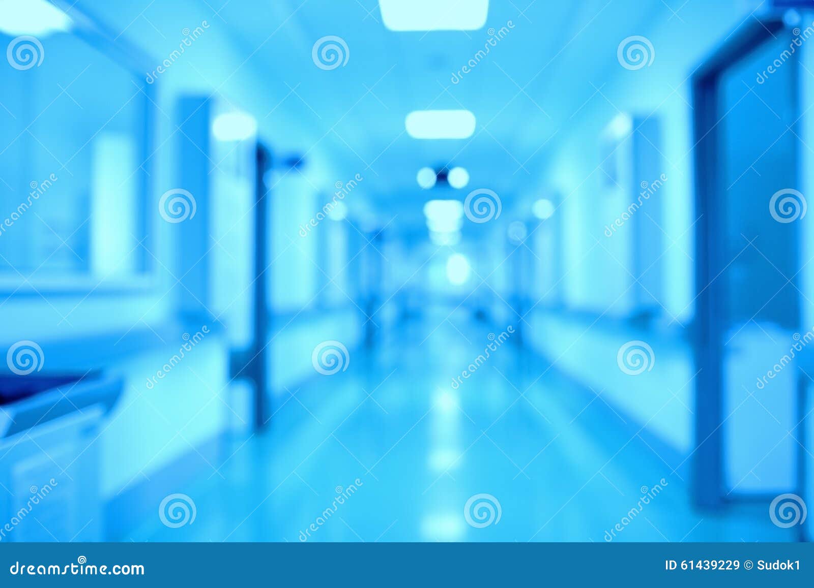 Perspective in Modern Scientific Research Laboratory Corridor Stock ...