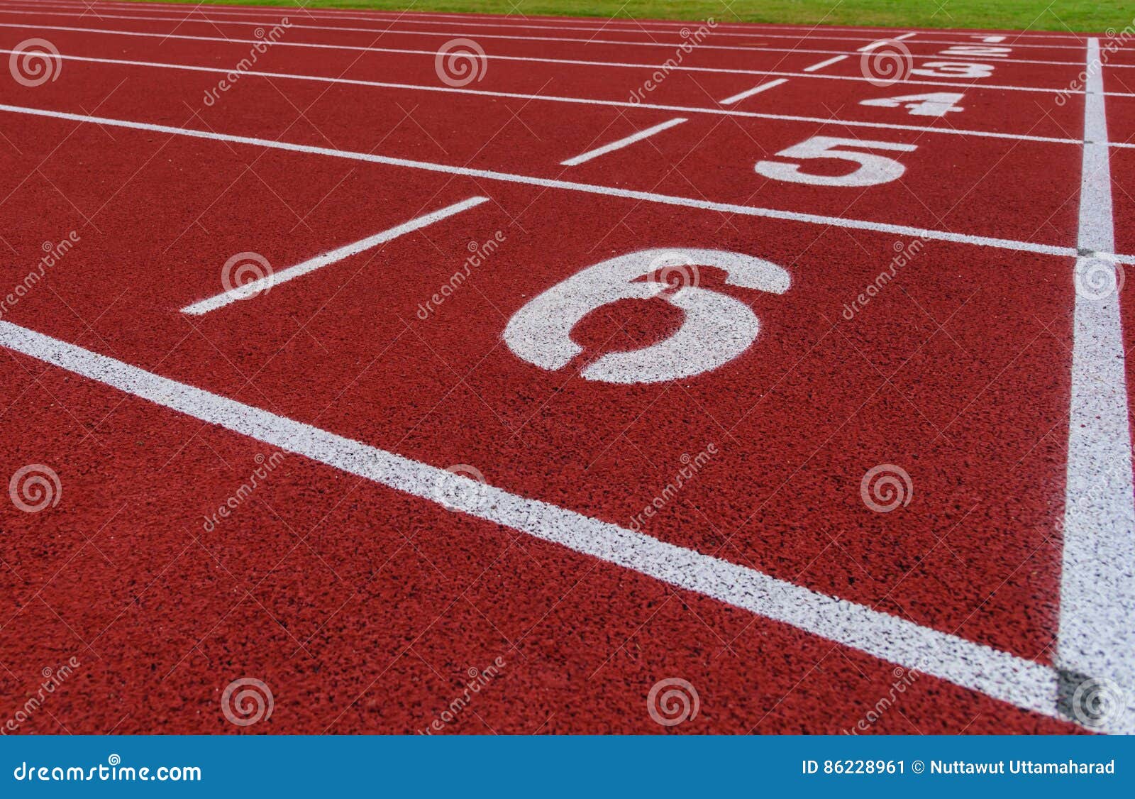 Perspective of Numbers on the Track is the Beginning of the Race Stock ...