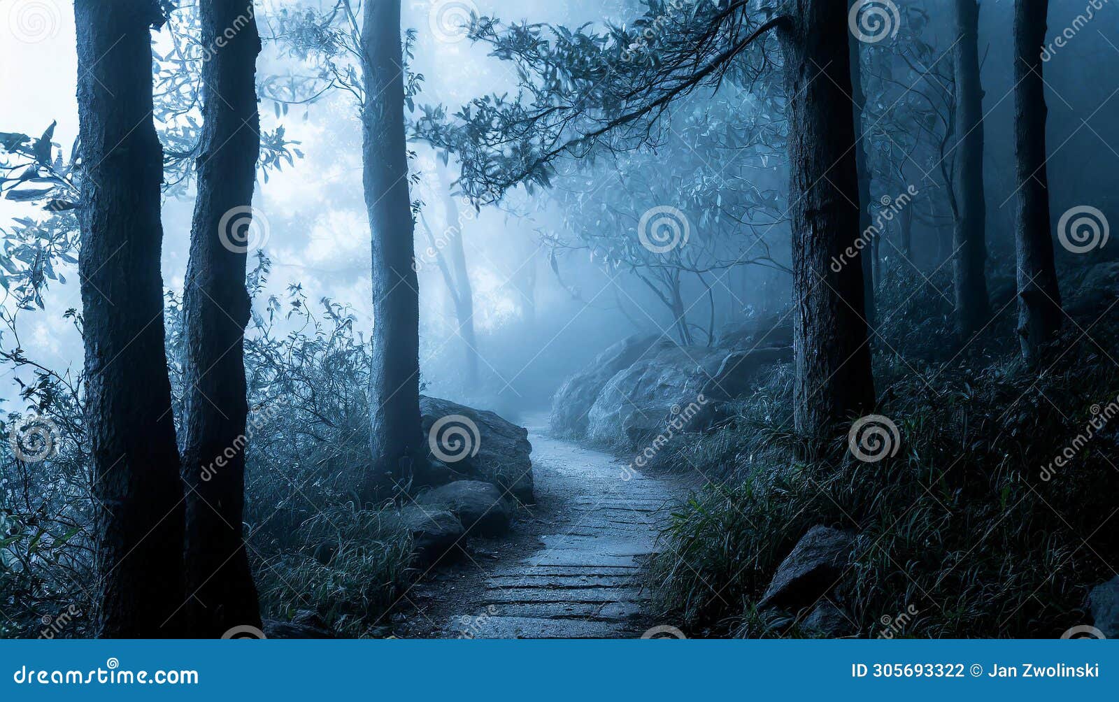 Perspective of Path Trail through the Frozen and Foggy Forrest Stock ...