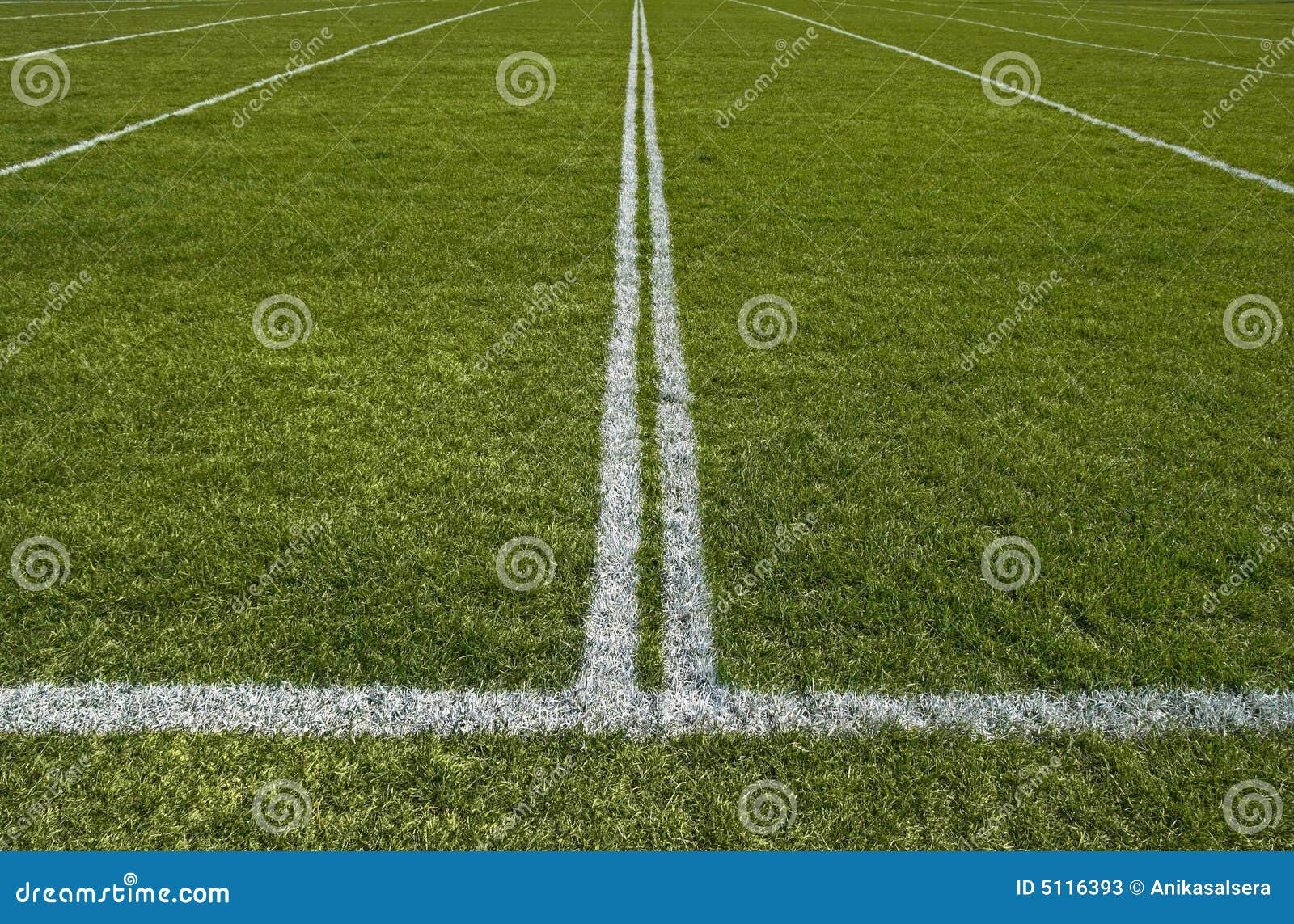 Perspective of a Playing Field with White Lines Stock Image - Image of ...