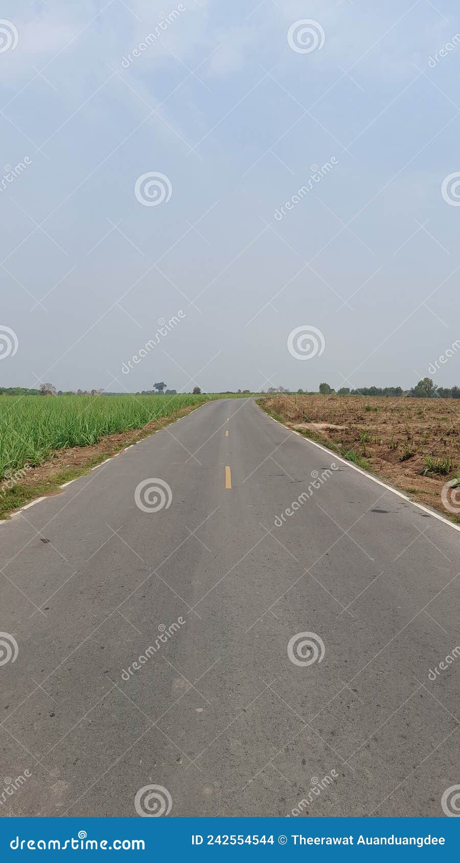 Perspective Road during the Day and Empty Space in the Sky and Green ...