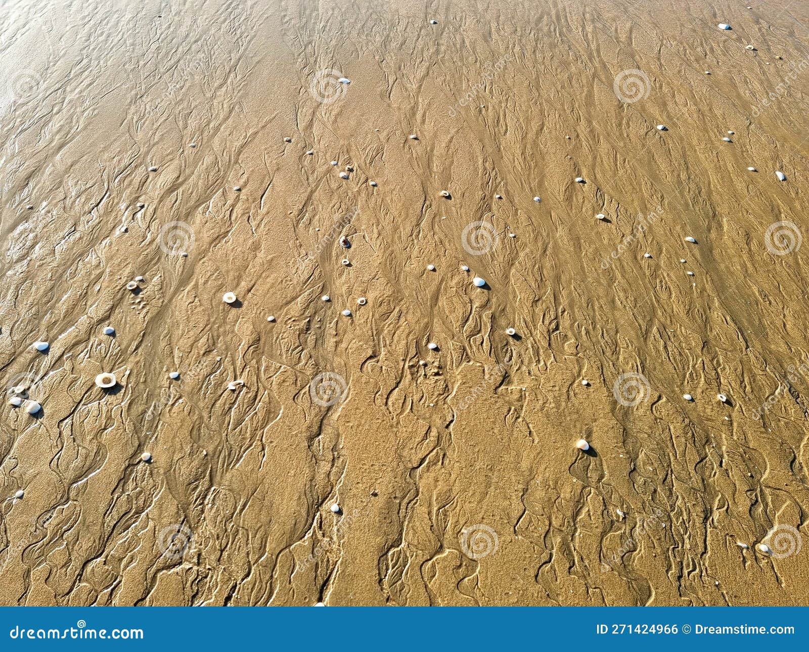 The Perspective of Sand Beach Texture Stock Photo - Image of nature ...