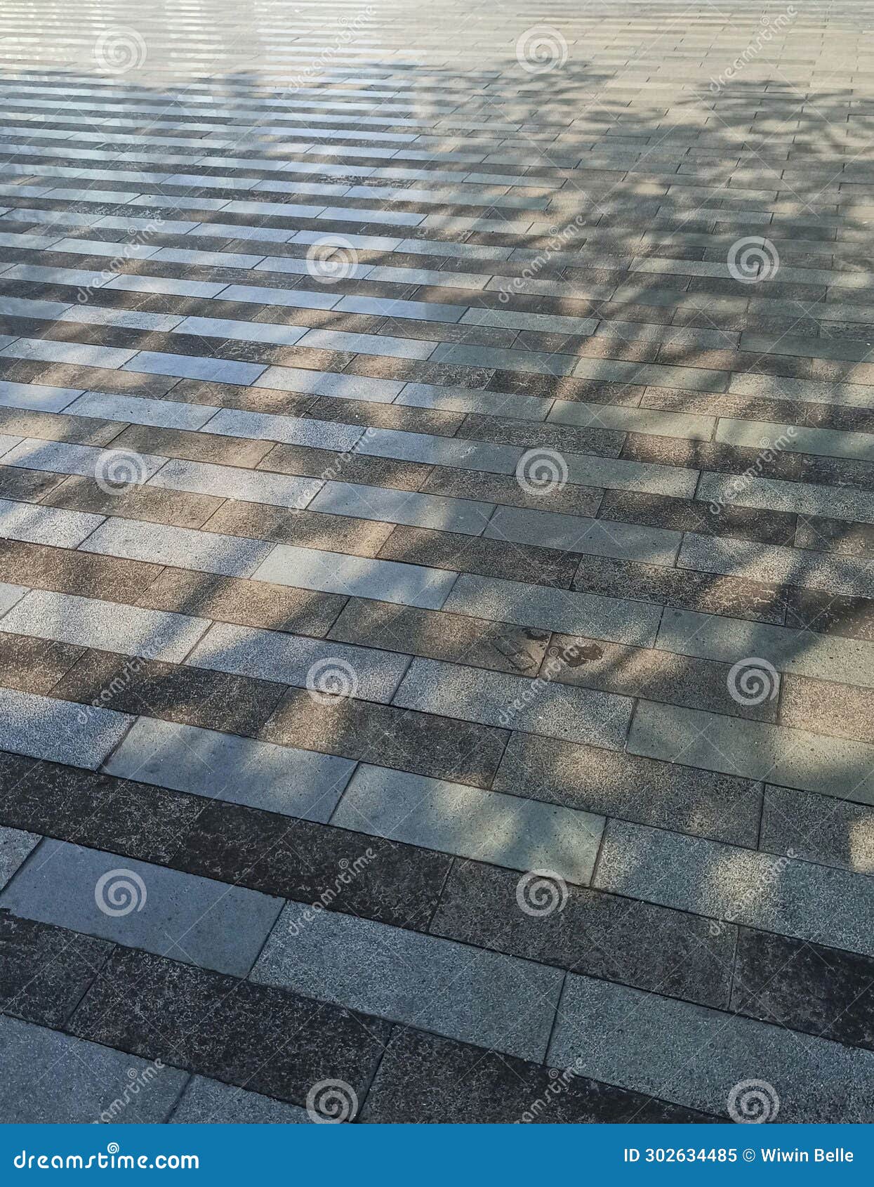 Perspective of Shadow of Tree on the Pavement in the Park Stock Image ...