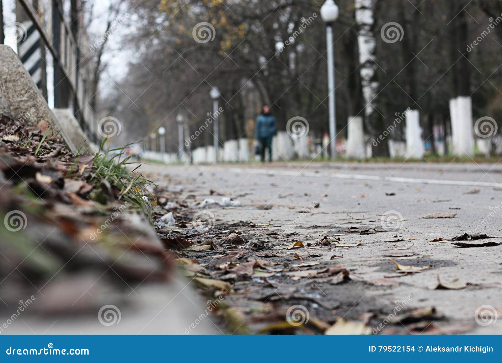 Perspective Sidewalk in the Park Stock Photo - Image of leaf, blue ...