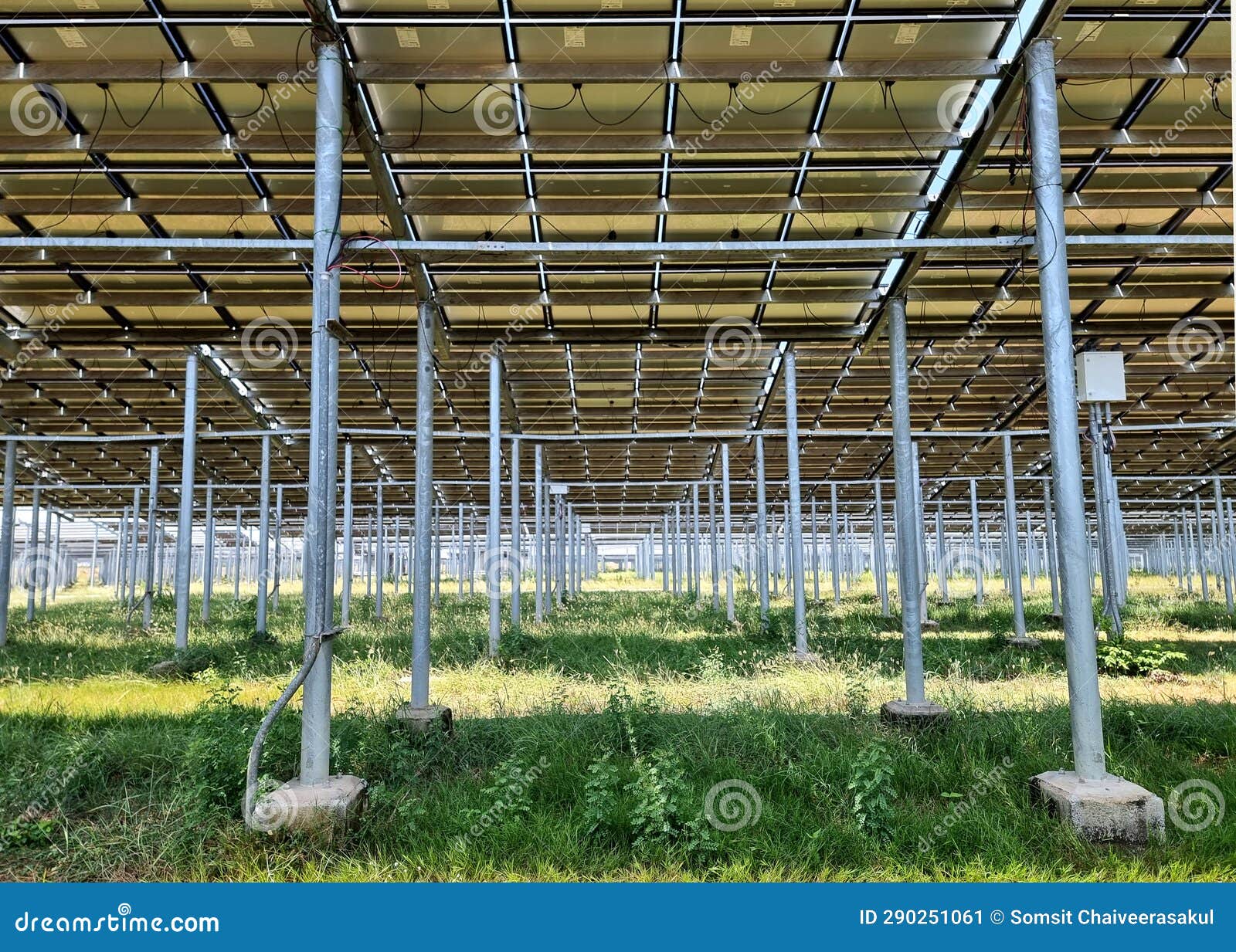 The Perspective Under Solar PV Panel for Ground Mounted Solar Farms ...