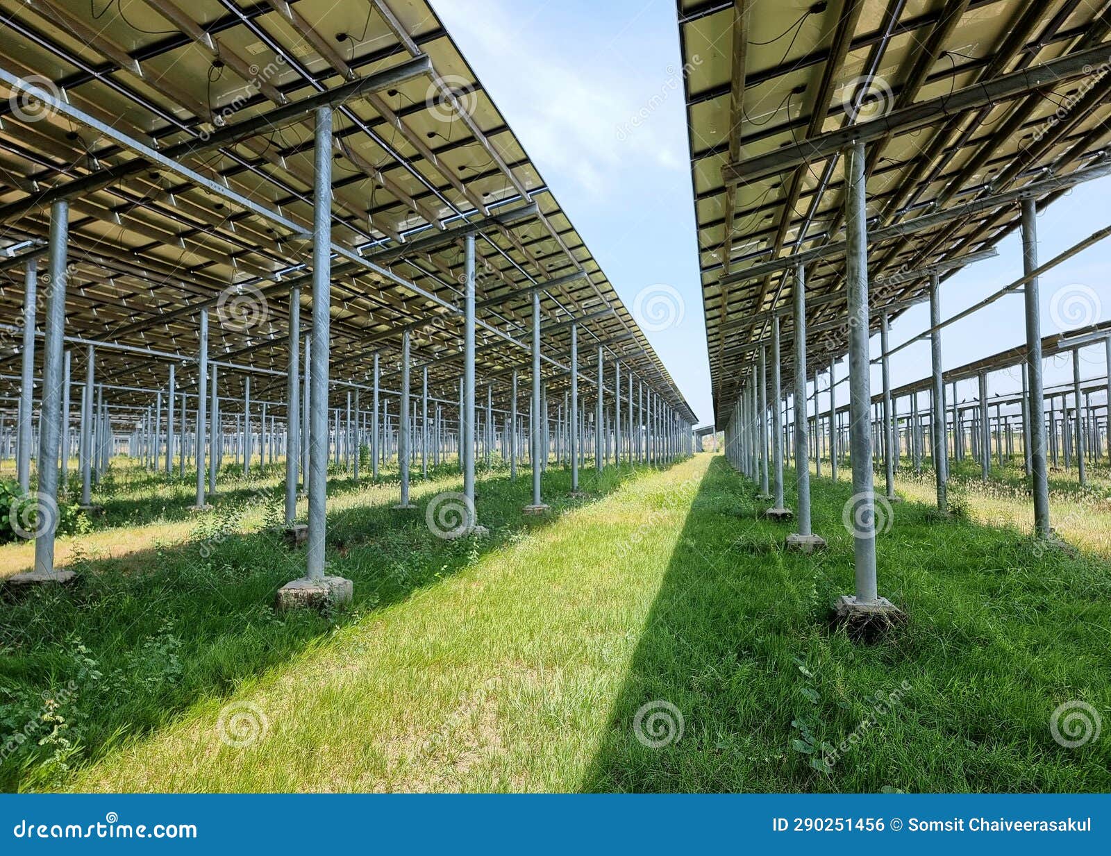 The Perspective Under Solar PV Panel for Ground Mounted Solar Farms ...