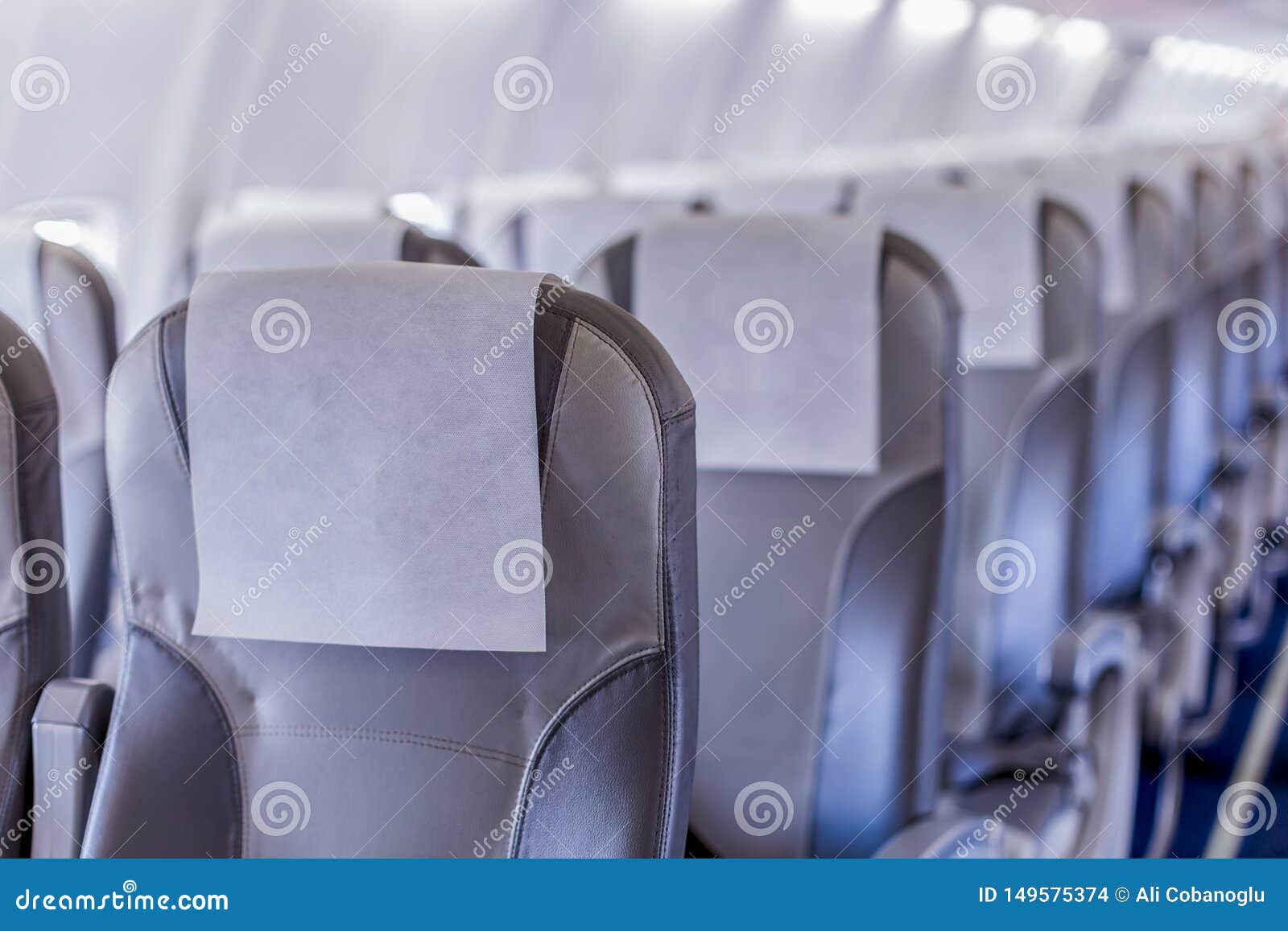 Empty Aircraft Cabin With Male Cabin Crew Working In Galley. Premium ...
