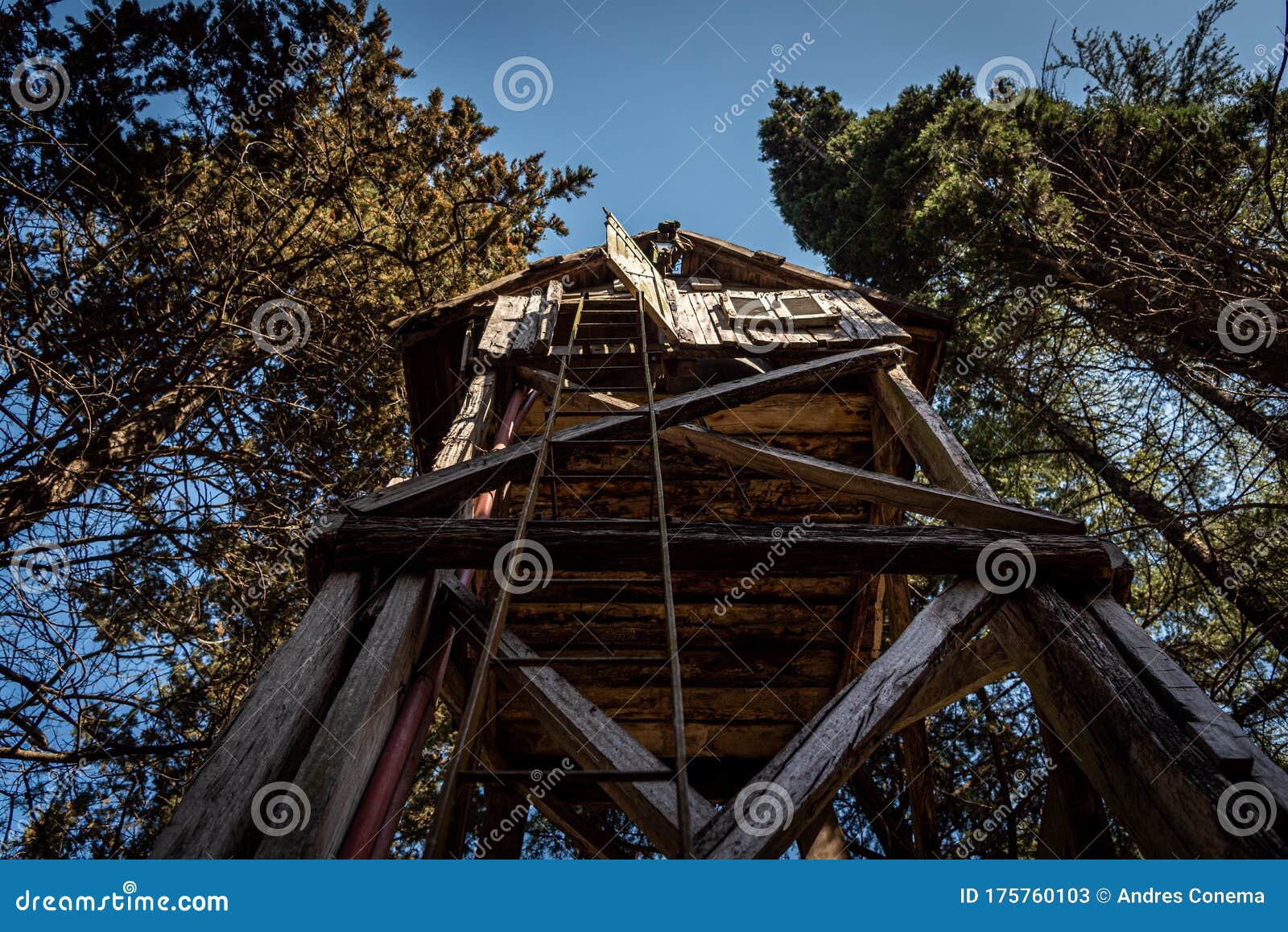 Perspective View of a Ladder from Below of a Typical Wooden Treehouse ...