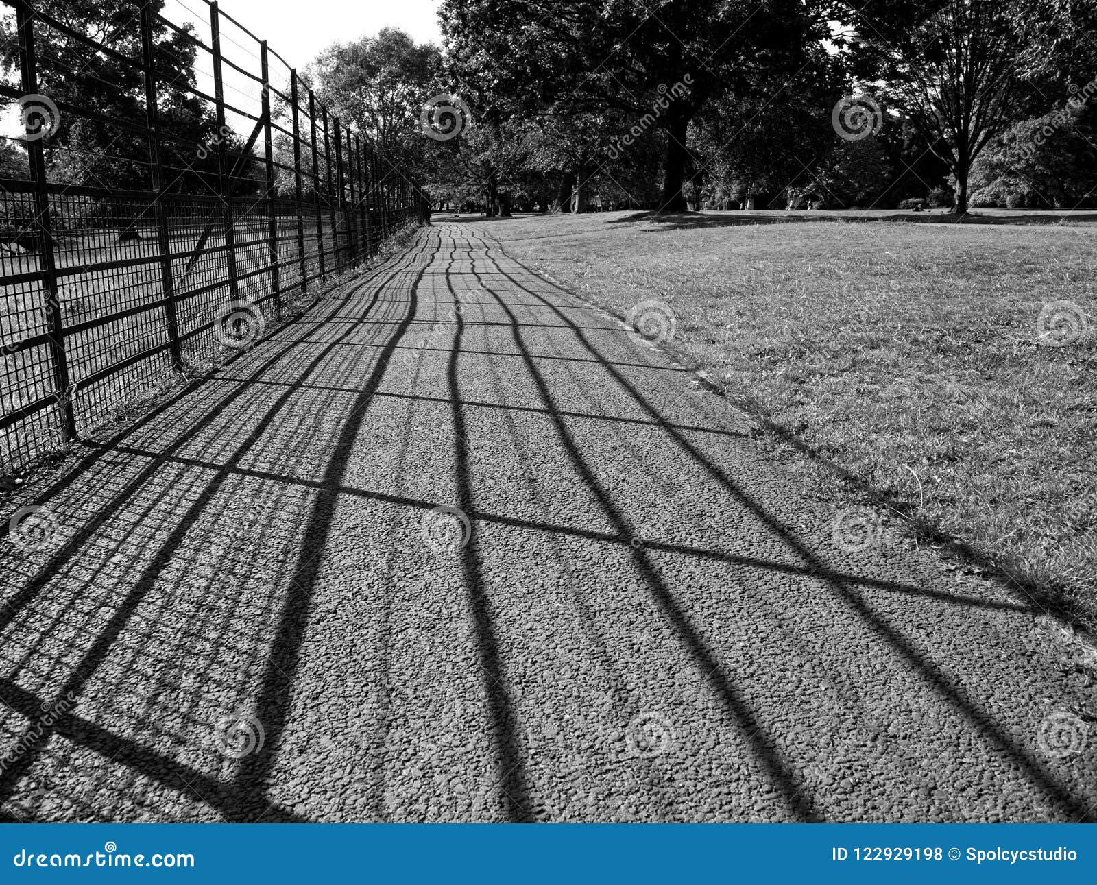 Parallel Footpaths Of Two Crows On Snow. They Have Gone Diagonally From ...