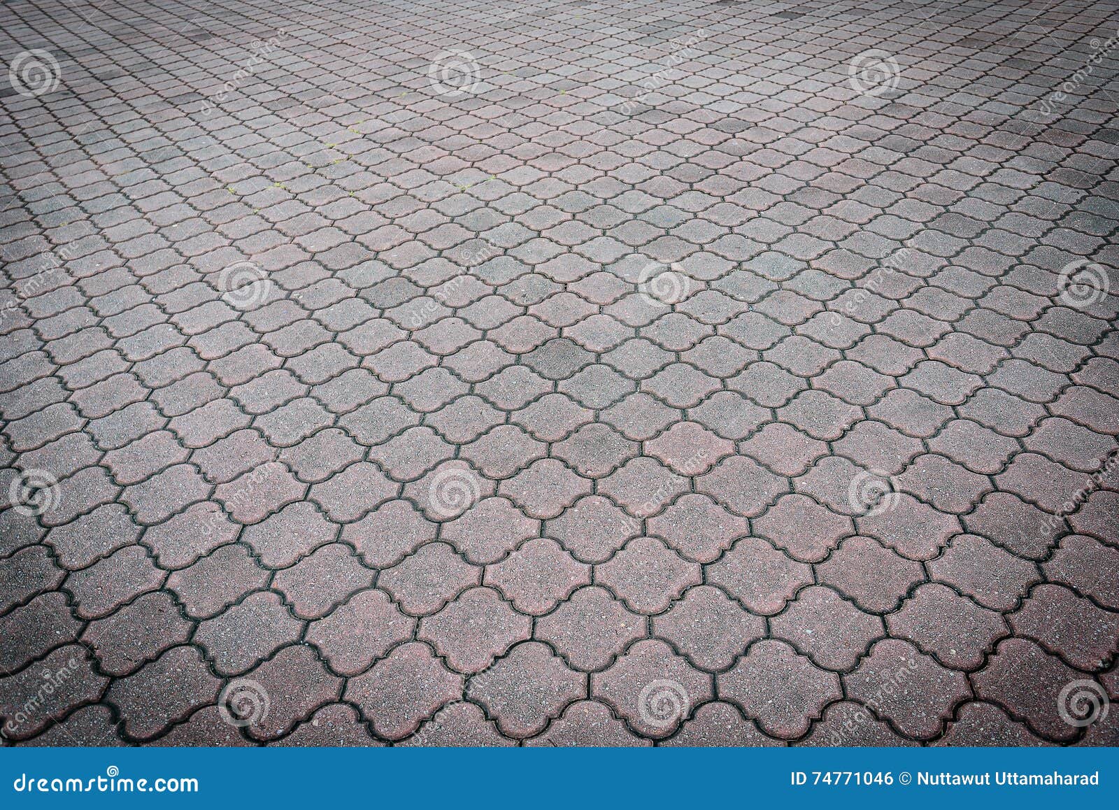 Perspective View of Monotone Gray Brick Stone Stock Photo - Image of ...