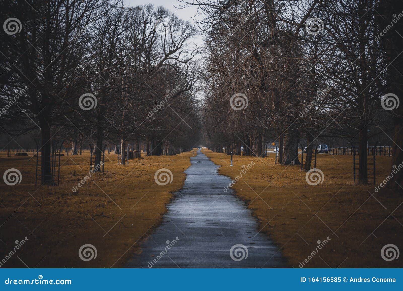 Perspective View of a Park Pathway with Nobody Around and Irregular ...