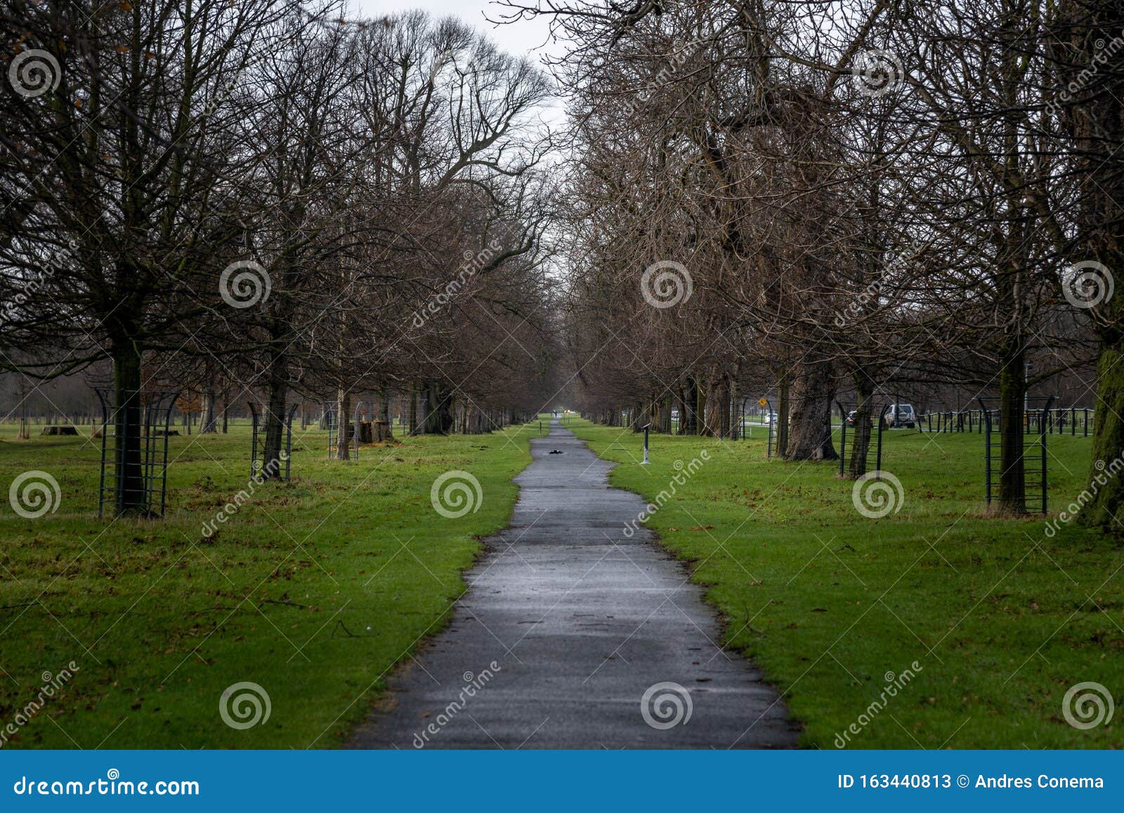 Perspective View of a Park Pathway Where People Trek and Run, with ...