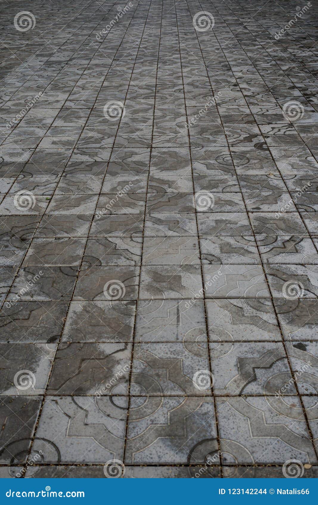 Perspective View of Pavement Paved with Gray Squares Tiles As ...