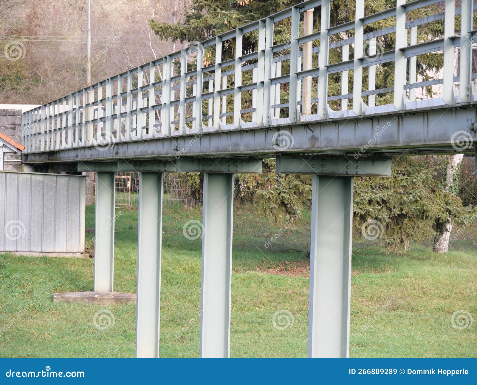 Perspective View of a Pedestrian Bridge with Steel Railing and Grating ...