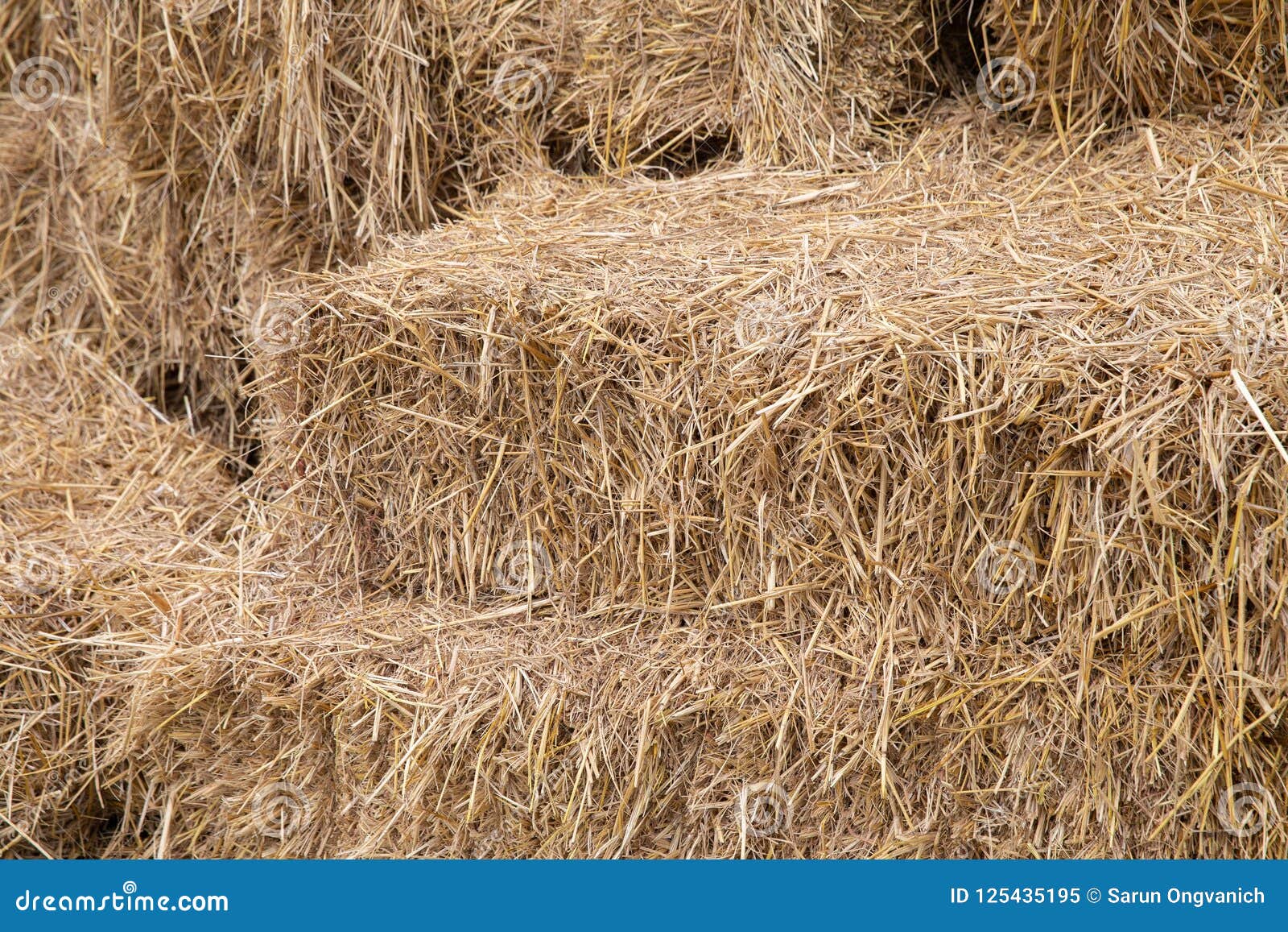 Perspective View of a Straw Pile after Harvest. Stock Image - Image of ...