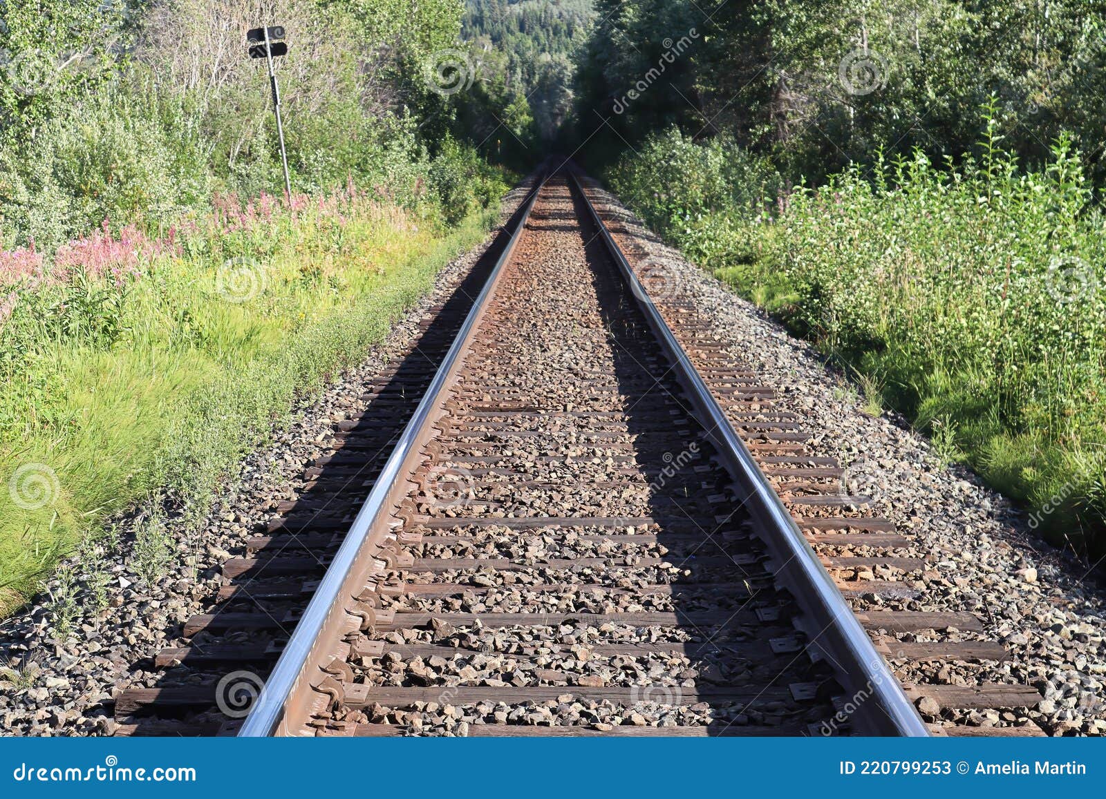 Perspective View of a Train Track Diminishing into the Distance Stock ...