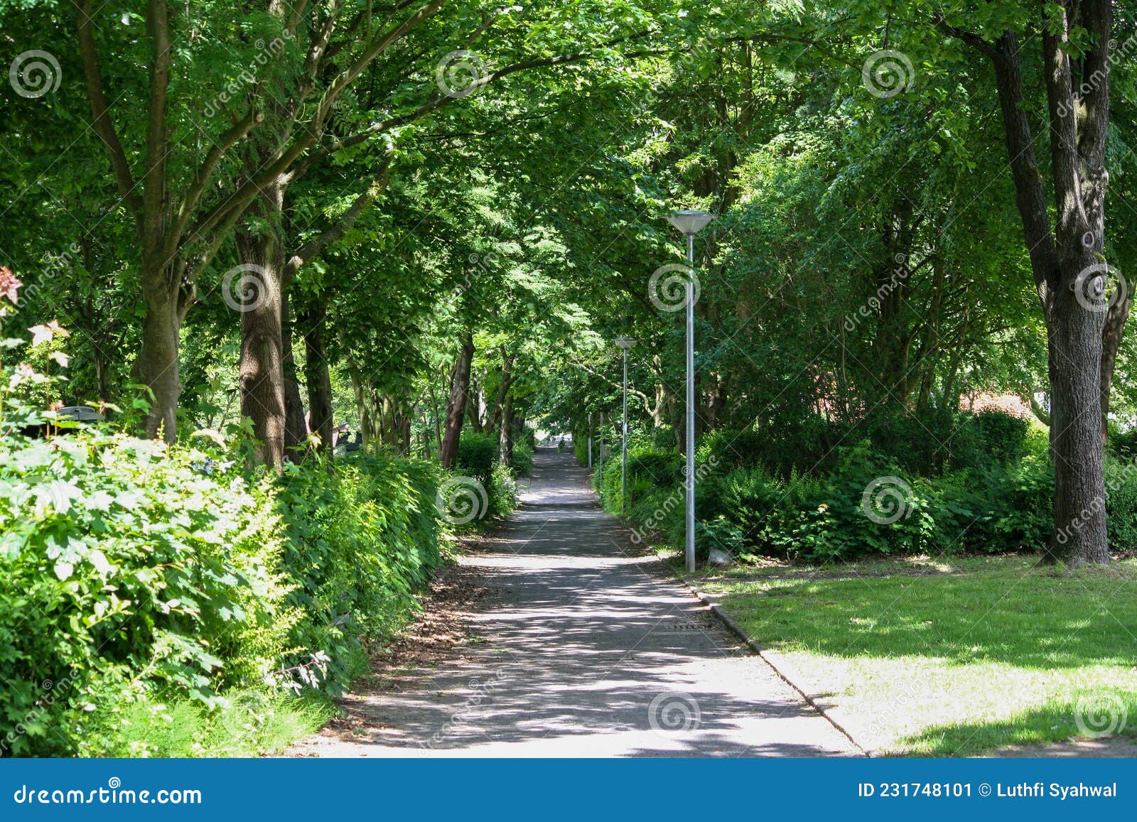 Perspective View of Walkway with Lamp Posts in Park with Plants and ...