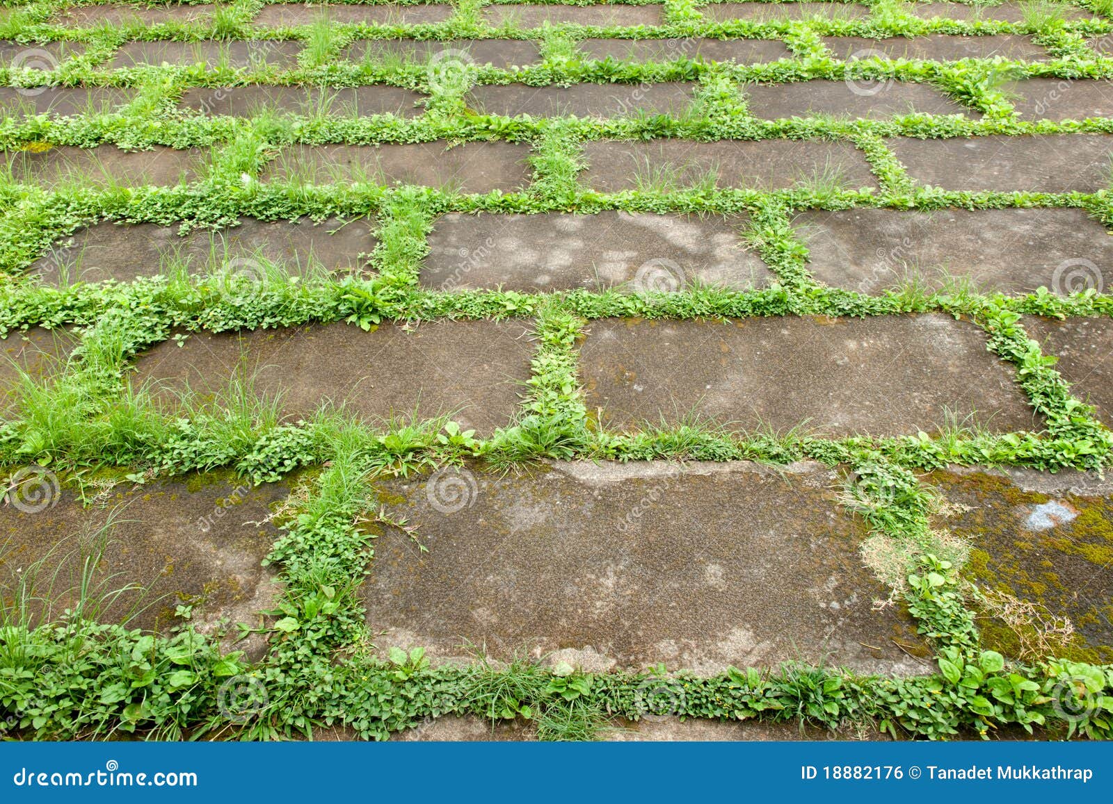 Perspective walkway stock photo. Image of square, landscape - 18882176
