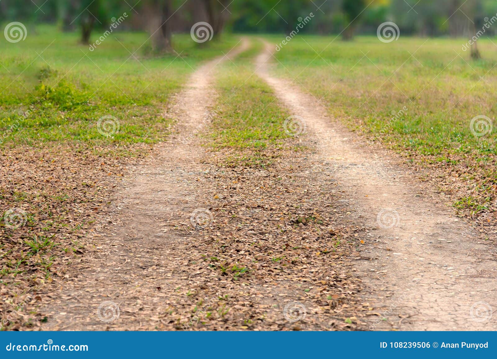 Wheel Track Royalty-Free Stock Image | CartoonDealer.com #37991278