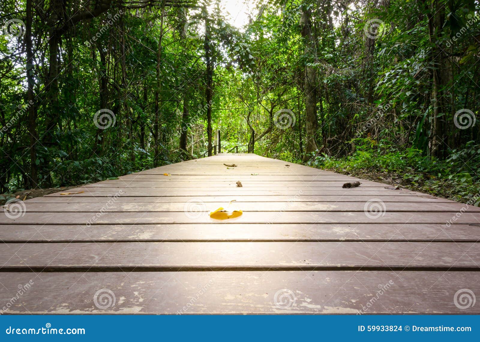 Perspective of Wood Bridge in Deep Stock Photo - Image of mountain ...