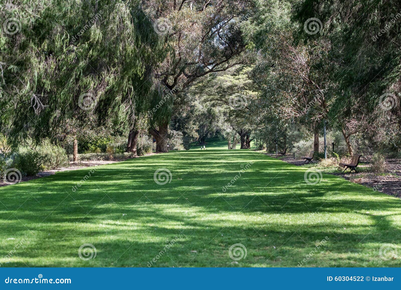 Perth Botanic Gardens West Australia Stock Photo - Image of fresh, tree ...