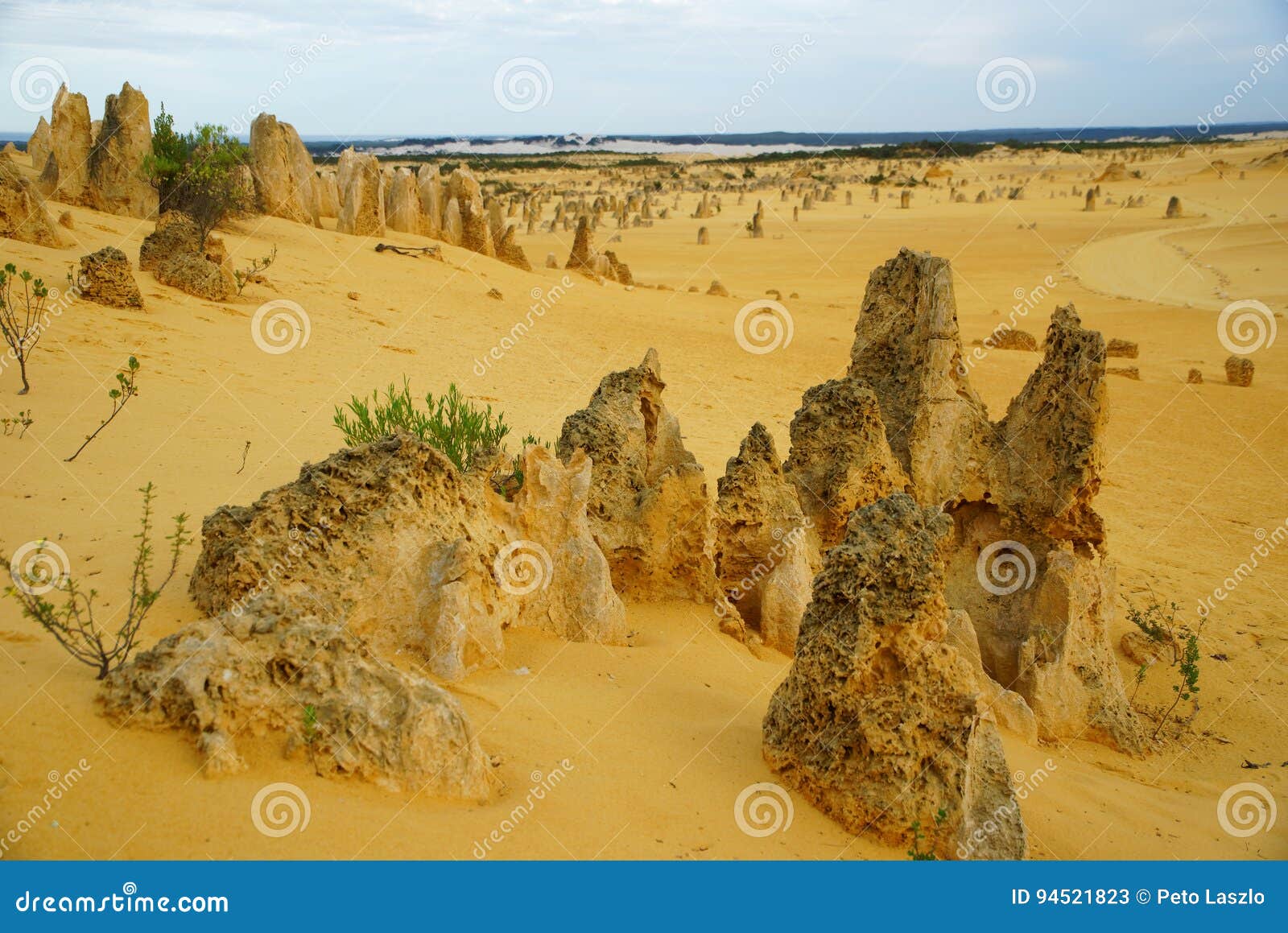 Perth the Pinnacles Desert stock image. Image of tourism - 94521823