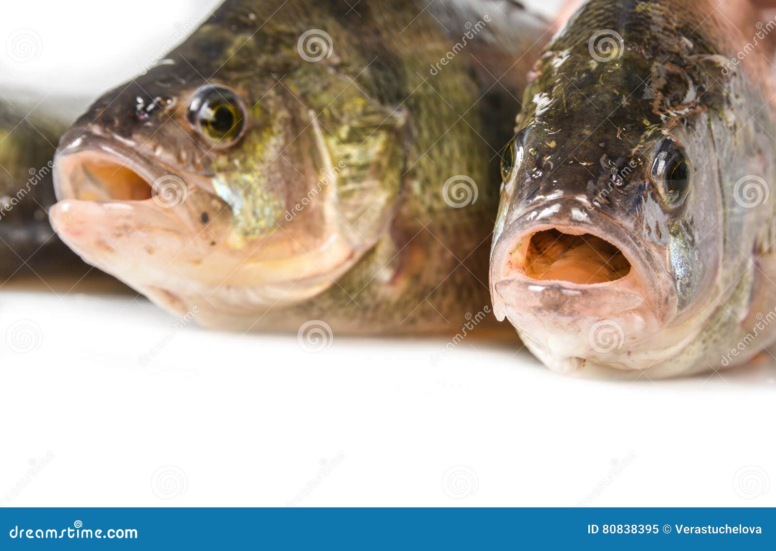 Pertica a Strisce Del Fiume Immagine Stock - Immagine di nutrizione ...