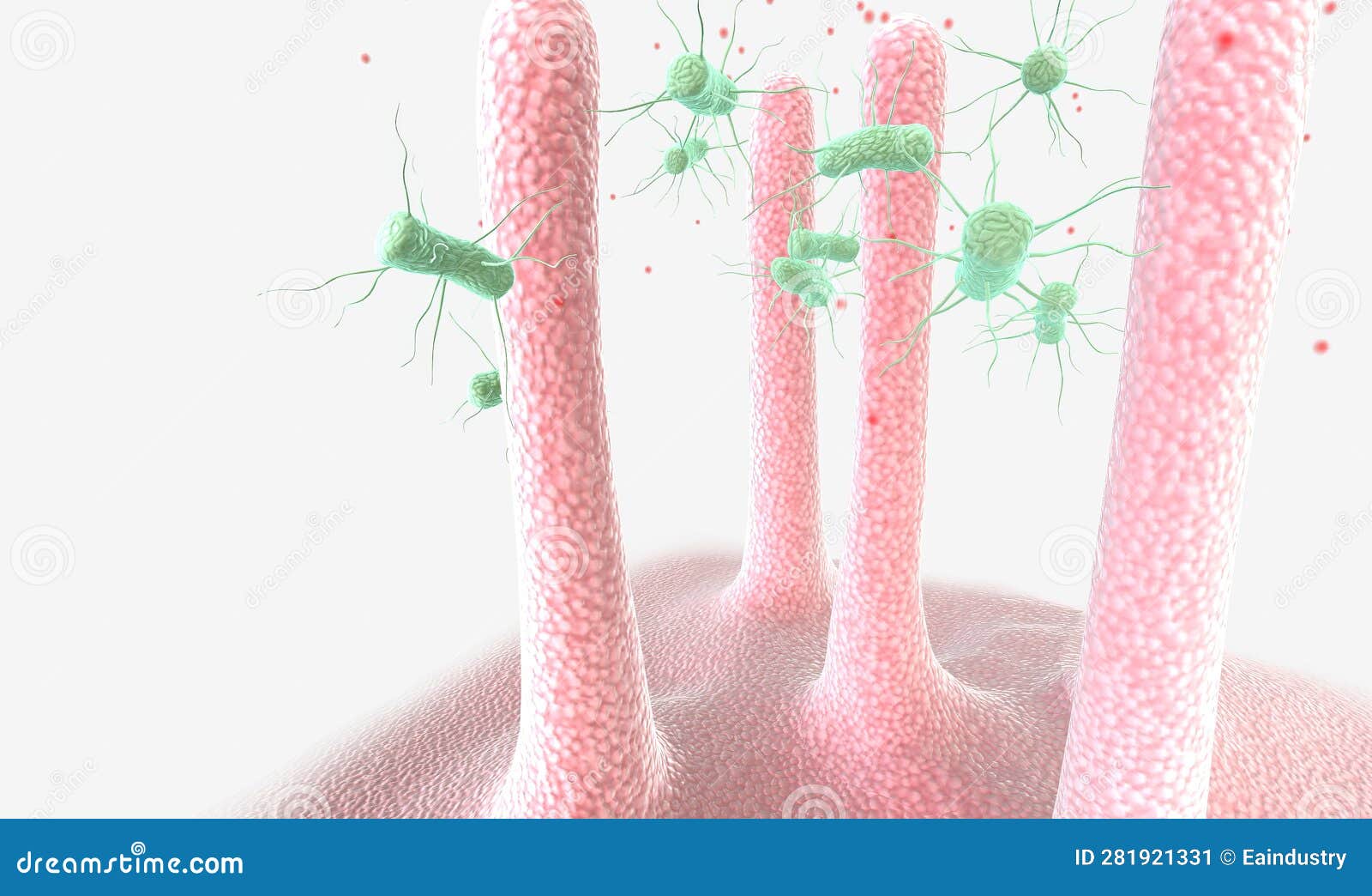 Pertussis, is a Highly Contagious Respiratory Illness Characterized by ...