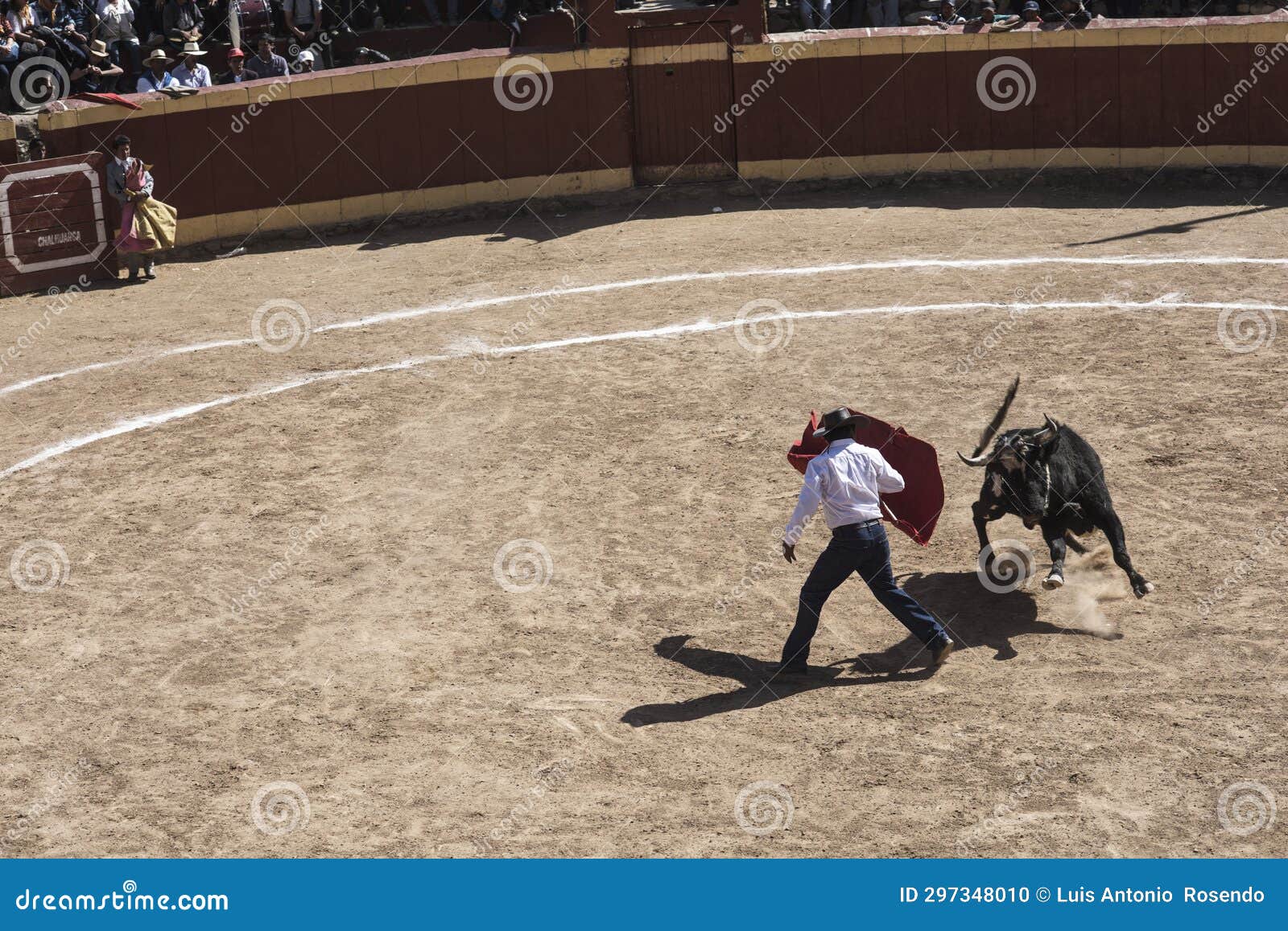 PERU COTABAMBA Bullfight in Its Traditional Religious Festivals Stock ...