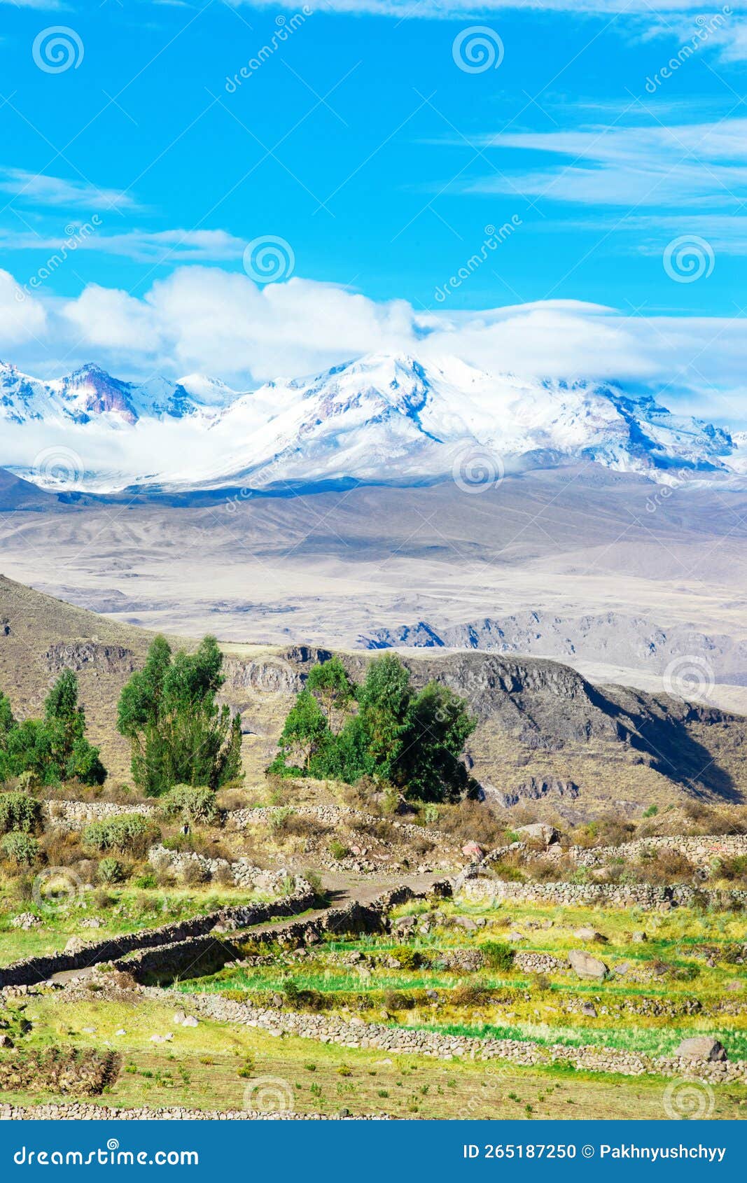 Peru stock photo. Image of animals, multiple, travel - 265187250