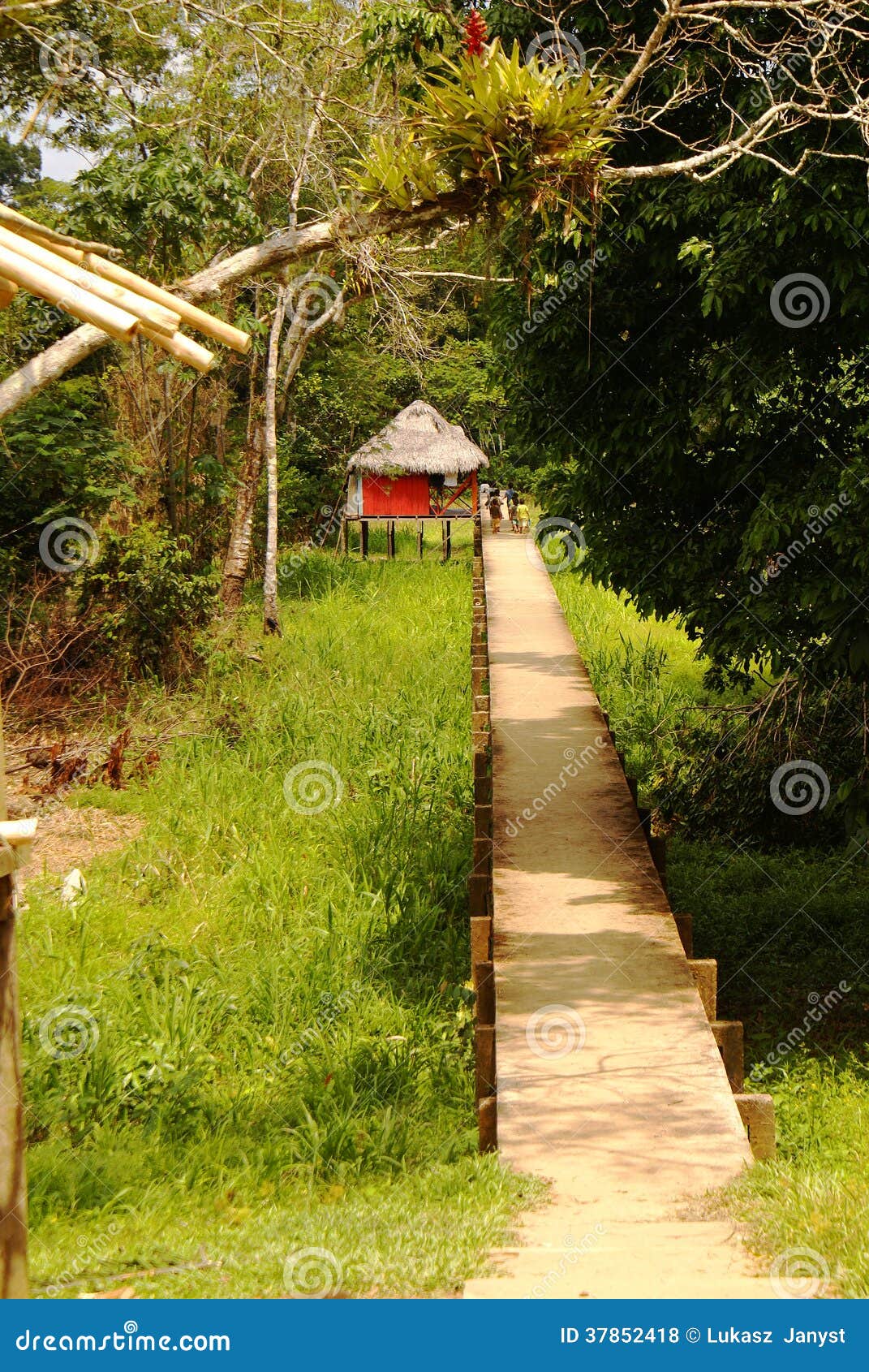 Peru, Peruvian Amazonas Landscape. the Photo Present Typical Indian ...