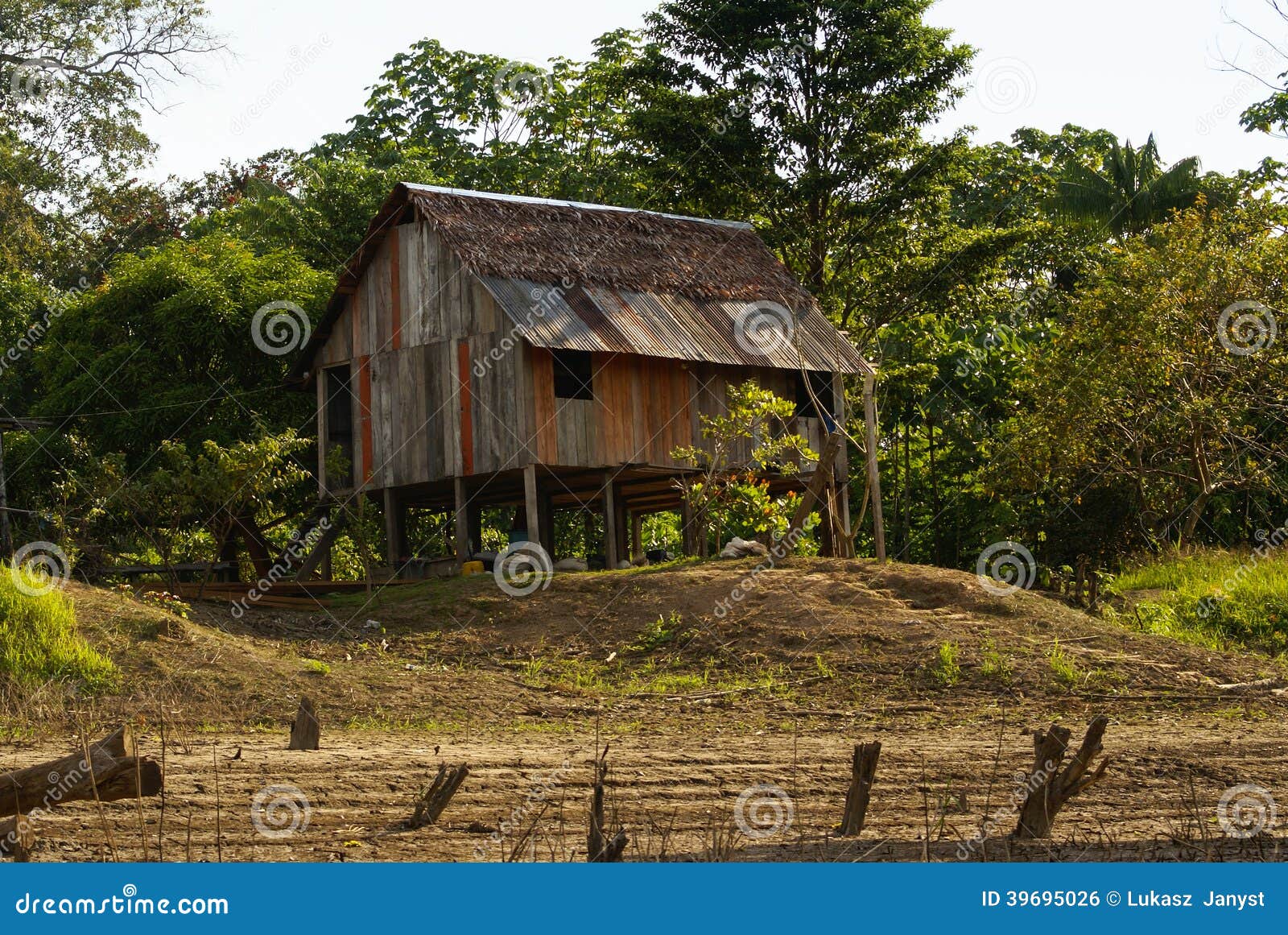 Peru, Peruvian Amazonas Landscape. the Photo Present Typical in Stock ...
