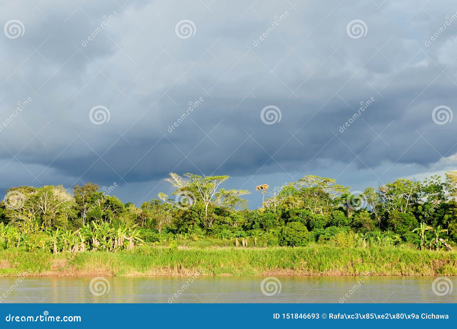 Peruanisches Amazonas stockbild. Bild von grün, dschungel - 151846693