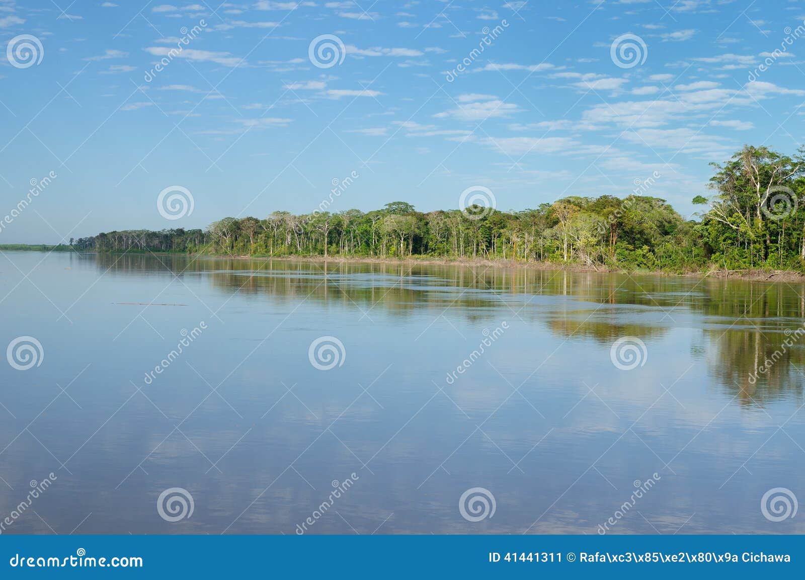 Peruvian Amazonas, Amazon River Landscape Stock Image - Image of ...
