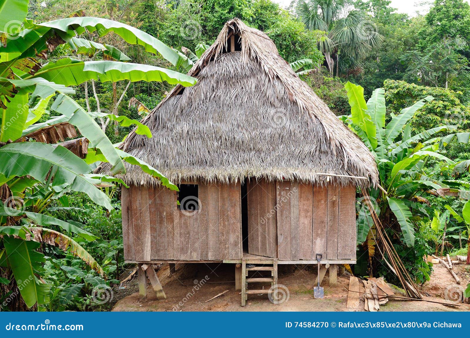 Peruvian Amazonas, Indian Settlement Stock Photo - Image of forest ...
