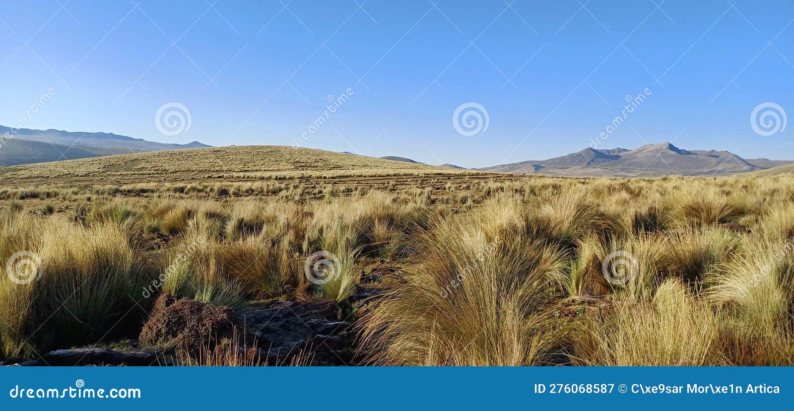Peruvian Andes stock image. Image of muestra, peruanosthe - 276068587