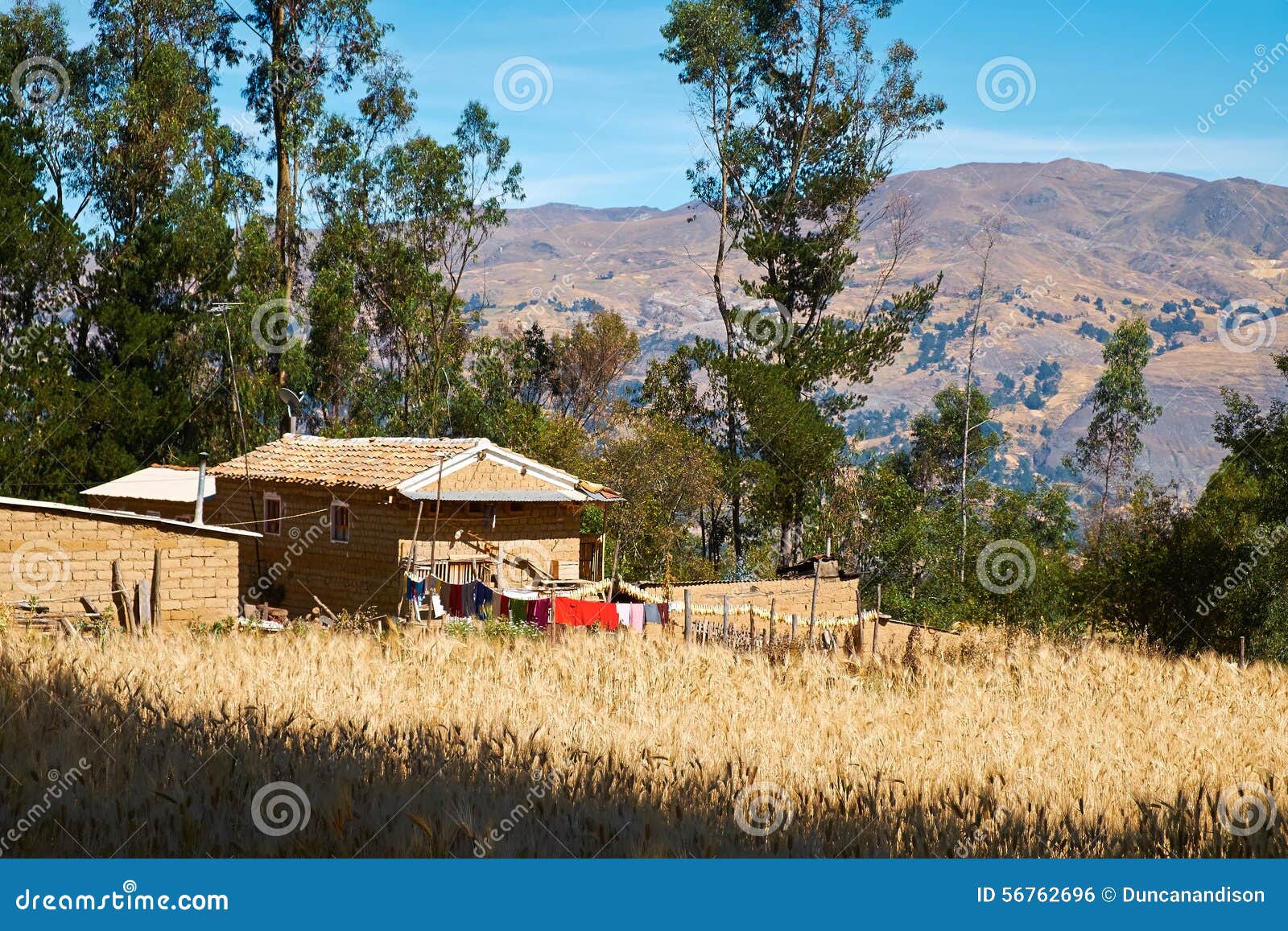 Peruvian Andes stock photo. Image of rural, crop, blue - 56762696