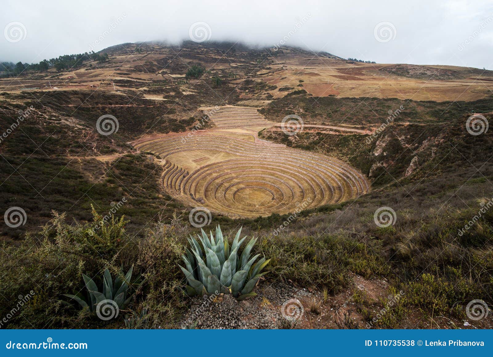 Agriculture Circular Terraces at Moray Peru Stock Photo - Image of ...