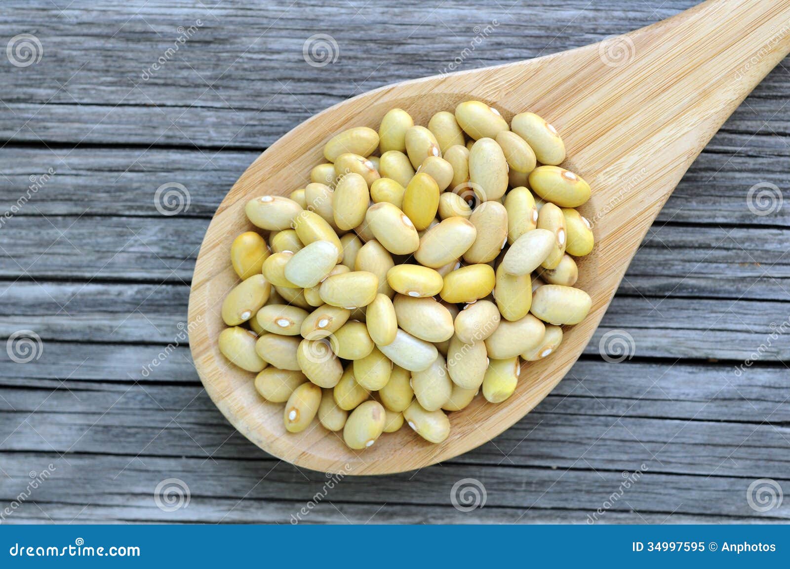 Peruvian Canary (Peruano) stock image. Image of scoop - 34997595