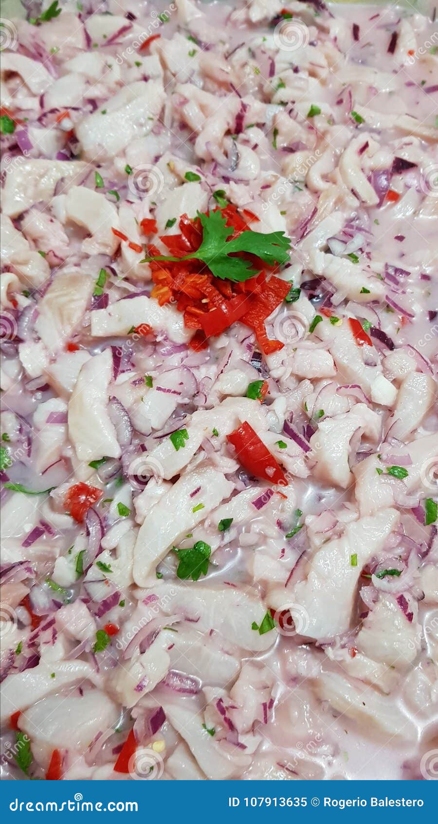 Peruvian Caviche stock image. Image of brazilian, fish - 107913635