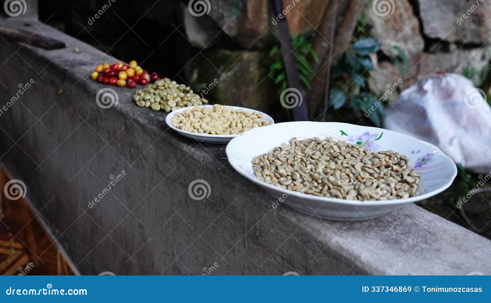 Peruvian coffee process stock image. Image of abundance - 337346869