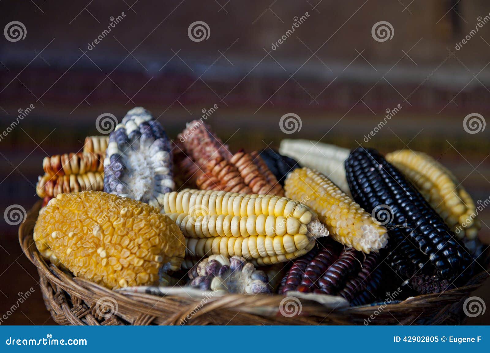 Peruvian Corn stock image. Image of nutrition, maize - 42902805