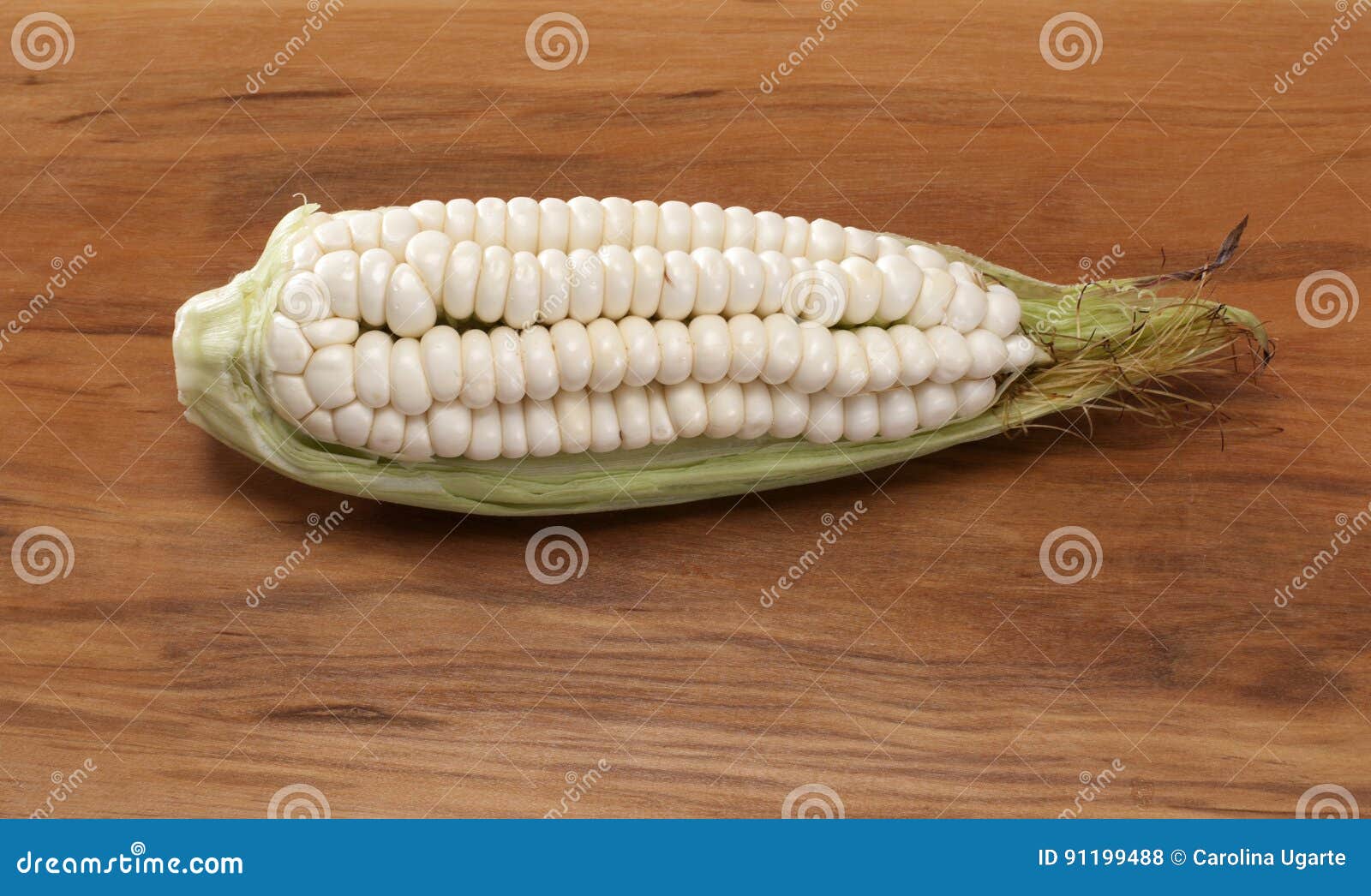 Choclo, Giant White Corn Stock Photography | CartoonDealer.com #26384960